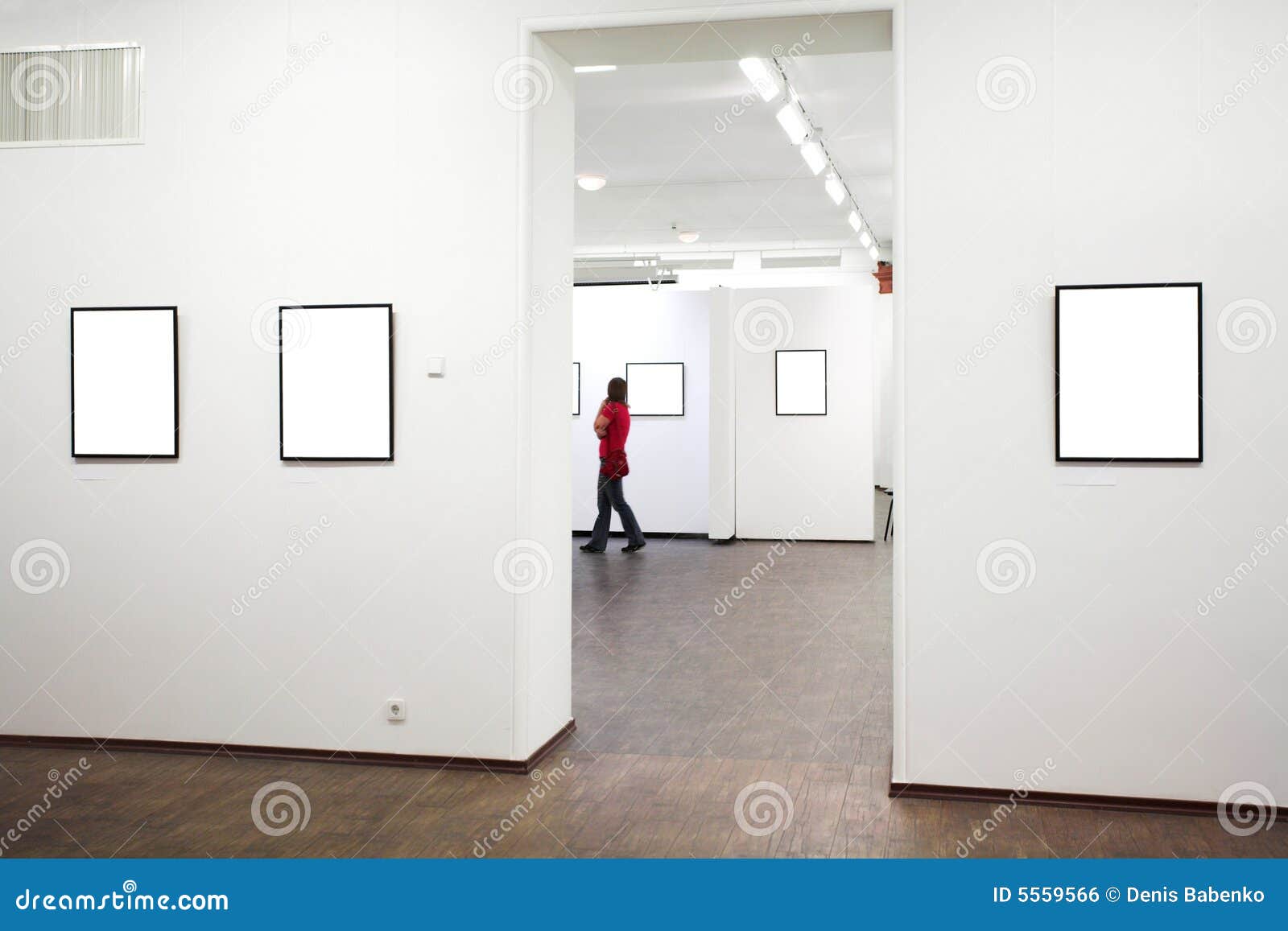 Wall in museum with frames stock photo. Image of display - 5559566