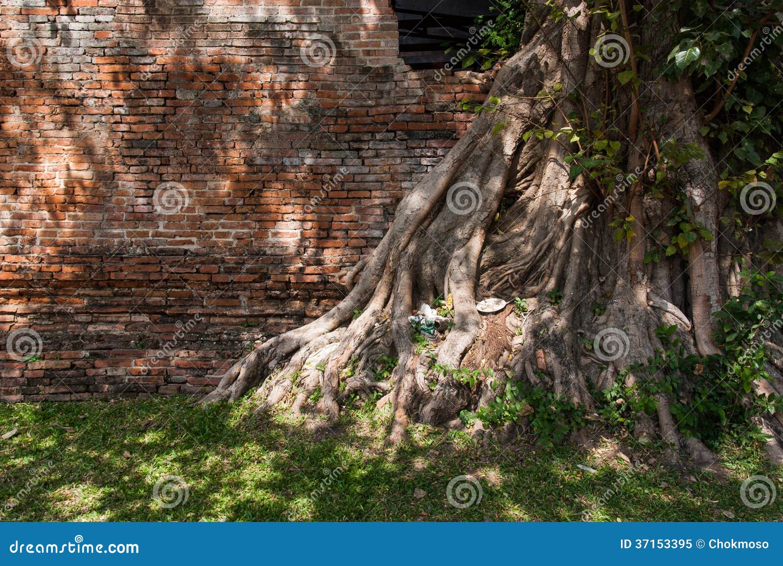 Wall stock image. Image of wall, arbor, musty, wood, brick - 37153395