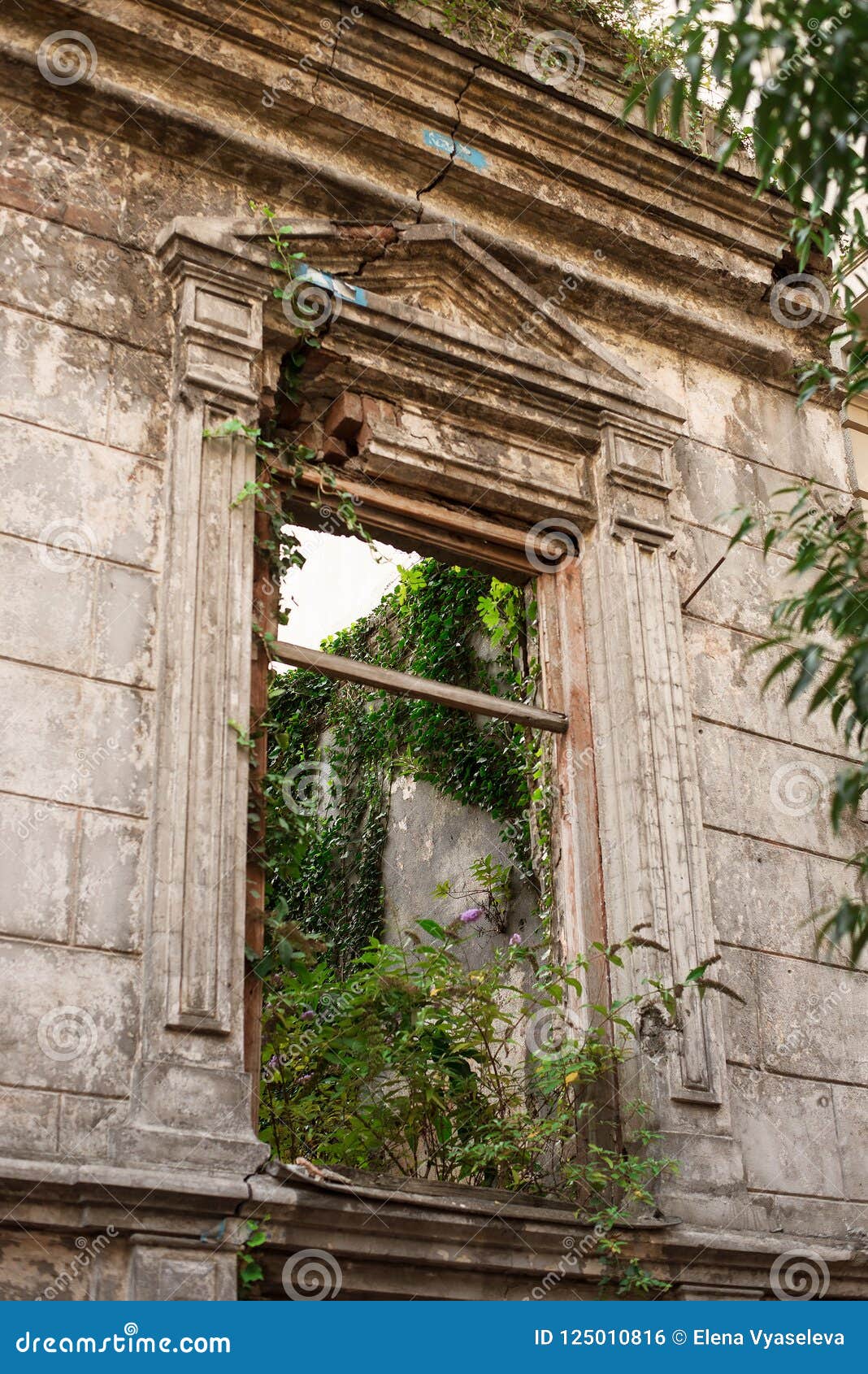 The Wall of an Old Destroyed House, Overgrown with Bushes and Gr Stock ...