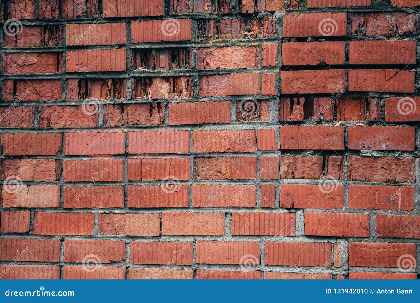 Wall with the Old Masonry of Red Brick Stock Photo - Image of animal ...