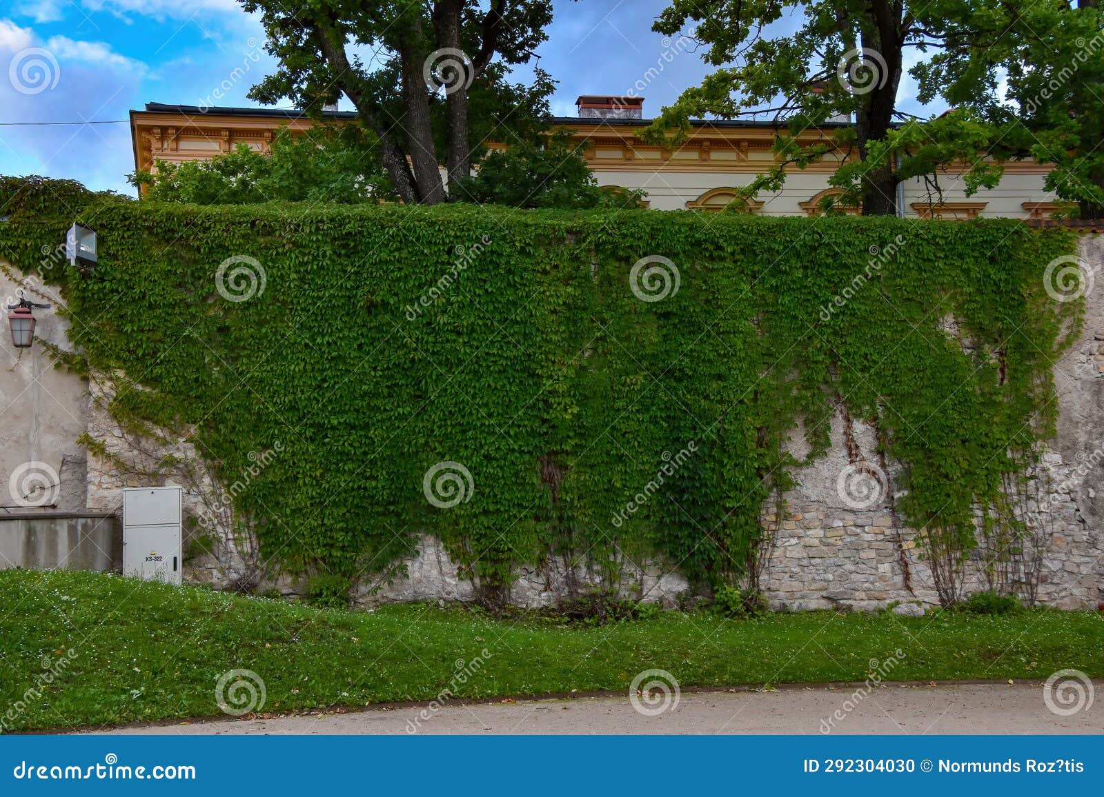 The Wall is Overgrown with Greenery. Stock Photo - Image of garden ...