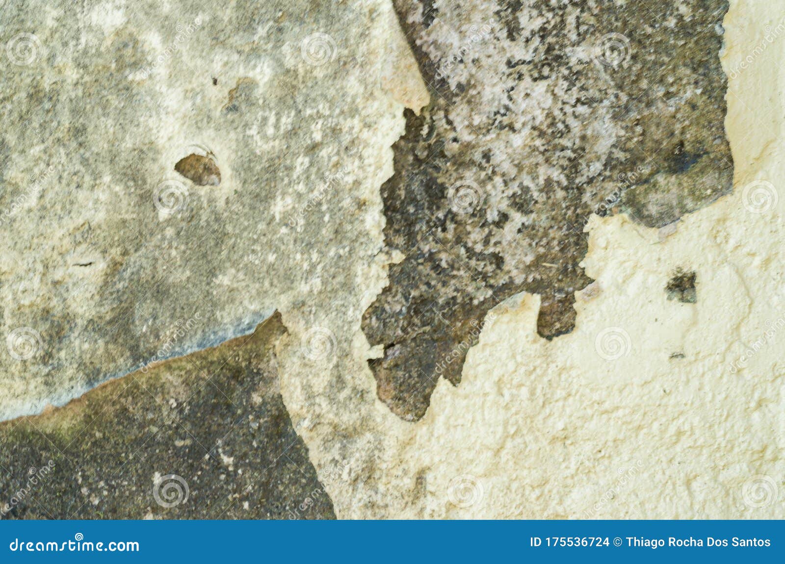 Wall with Peeling Paint, Paint Problem. Inadequate Paint System, Water ...