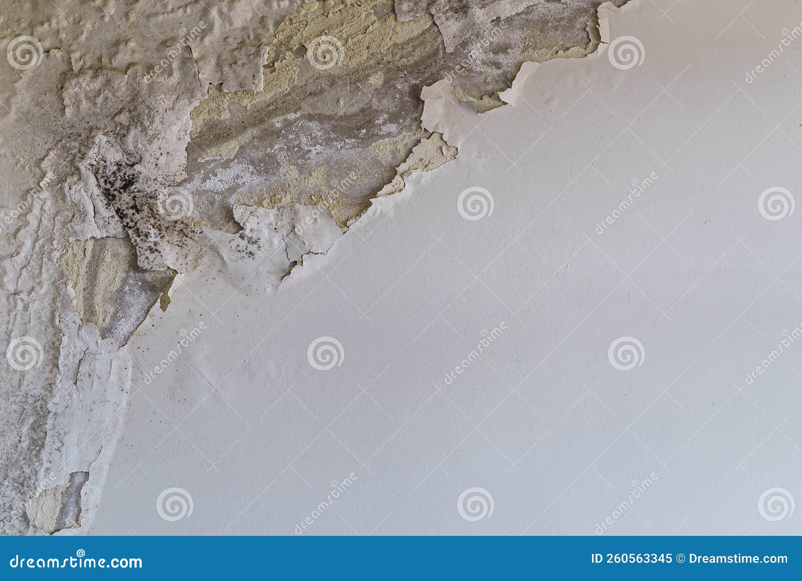 Wall with Plaster Will Deteriorate from Dampness Stock Image - Image of ...