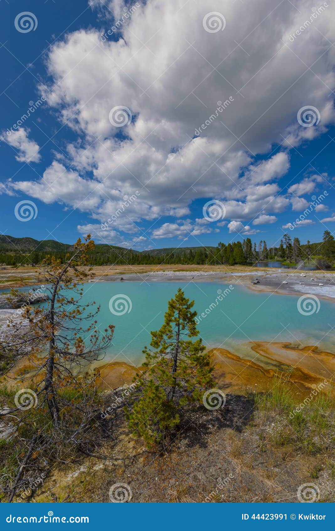 Wall Pool in Biscuit Basin Yellowstone Stock Image - Image of park ...