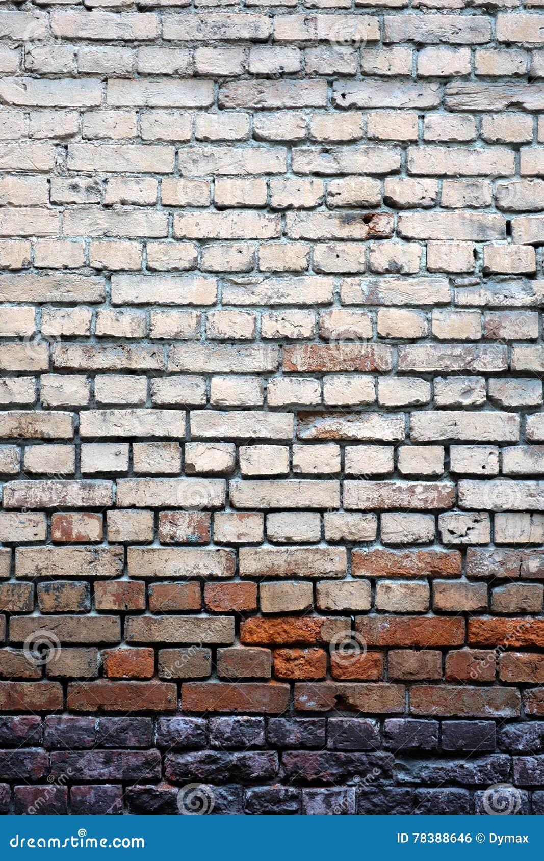 Wall of Red Bricks Front View Closeup Stock Photo - Image of outdoors ...