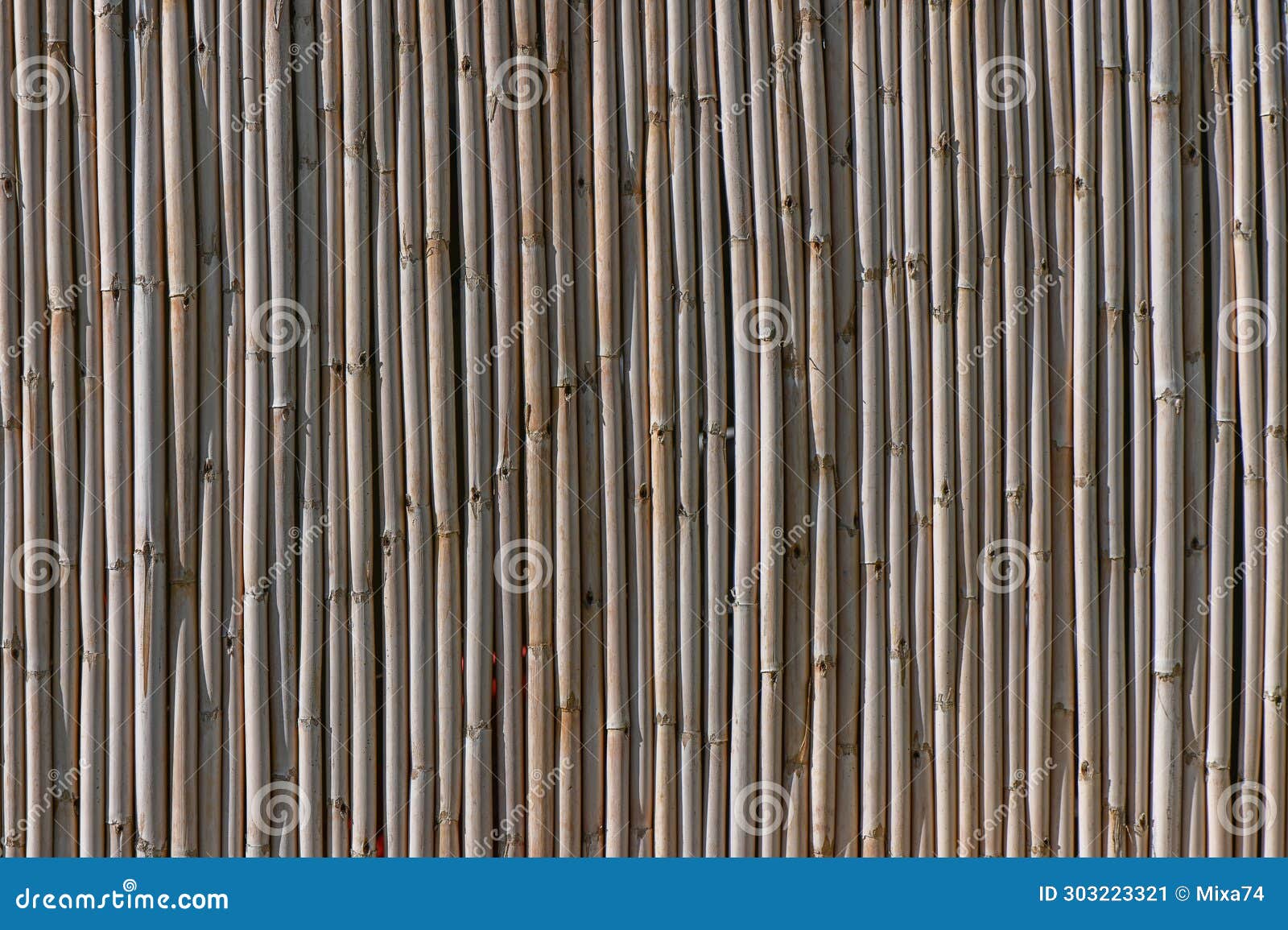 Wall of a Reed Bungalow on the Coast 1 Stock Image - Image of ...
