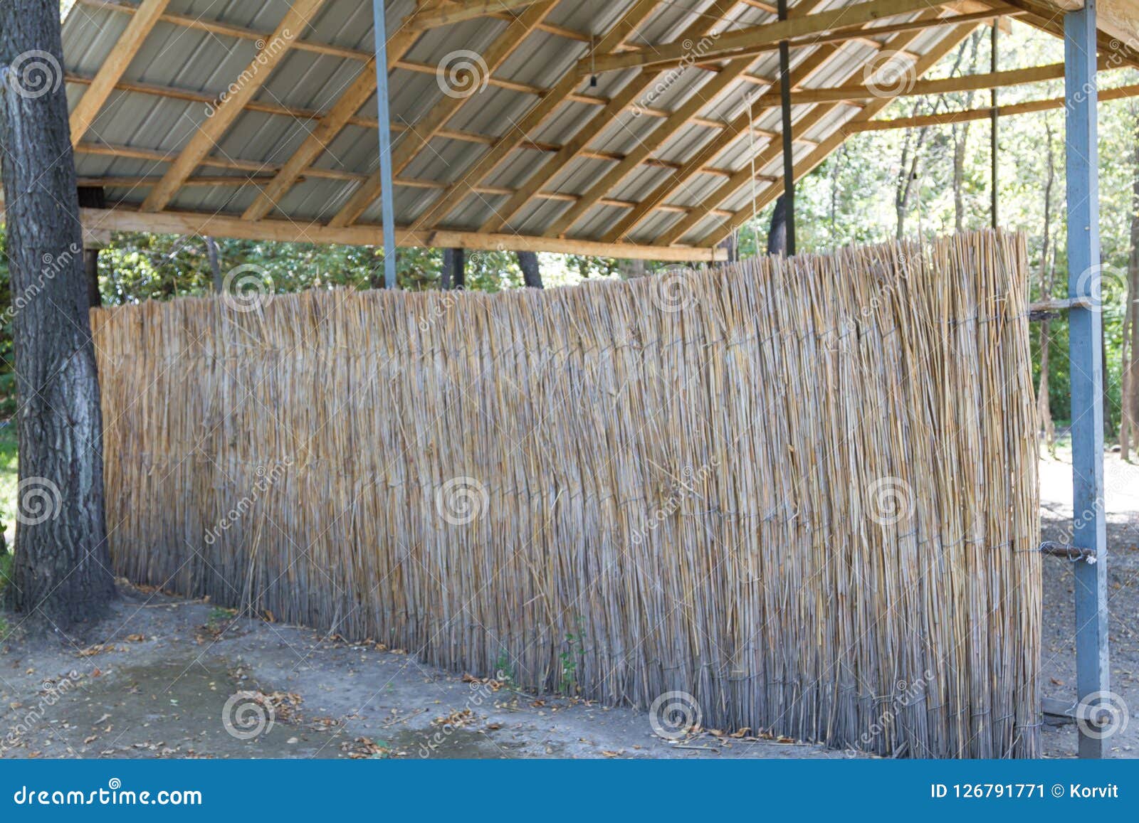 Wall of reed mats stock image. Image of ancient, plank - 126791771