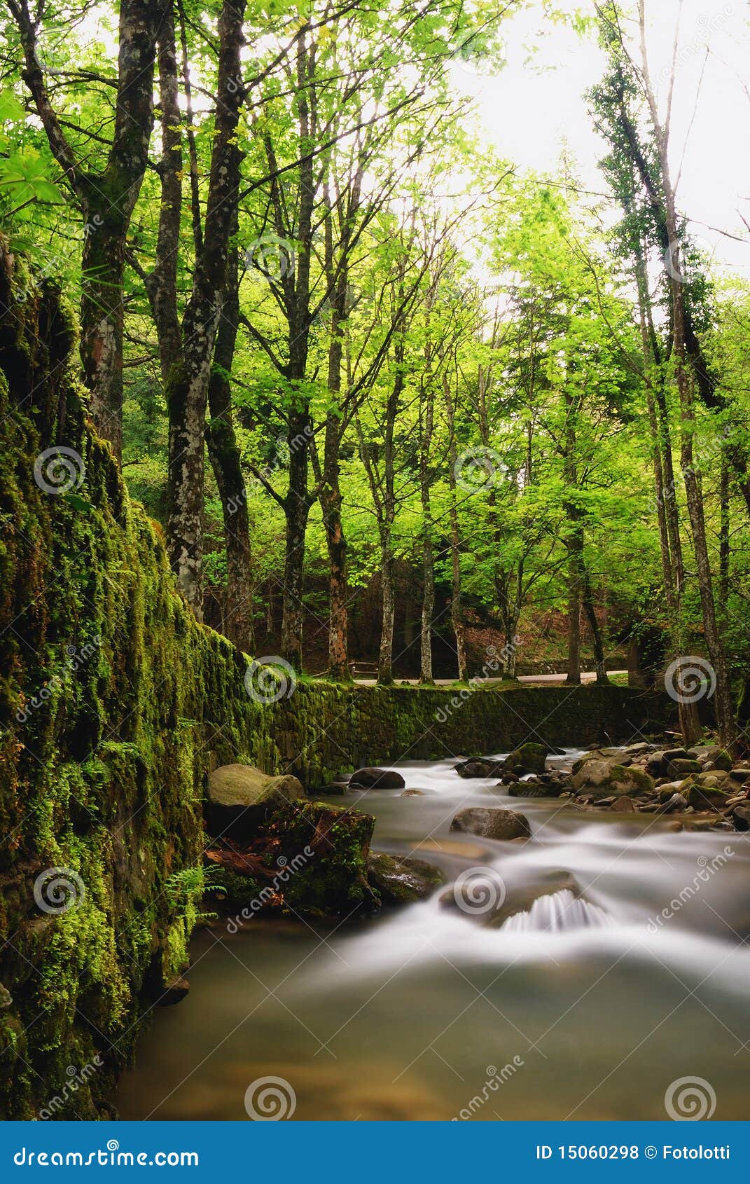Wall and river stock photo. Image of soft, green, shade - 15060298