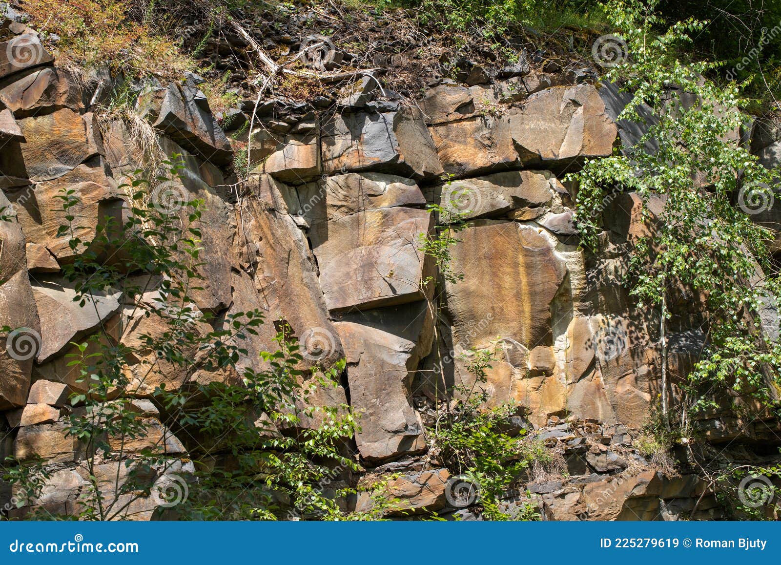 The Wall of the Rock in the Old Quarry is Overgrown with Trees and ...