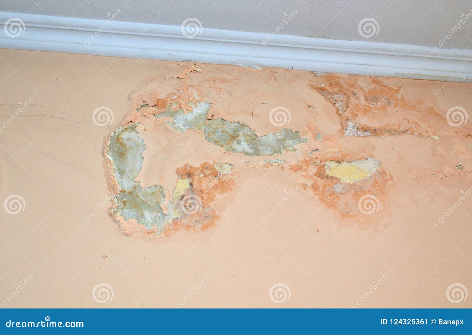 Inside Wall Damaged by Humidity Stock Image - Image of paint, household ...