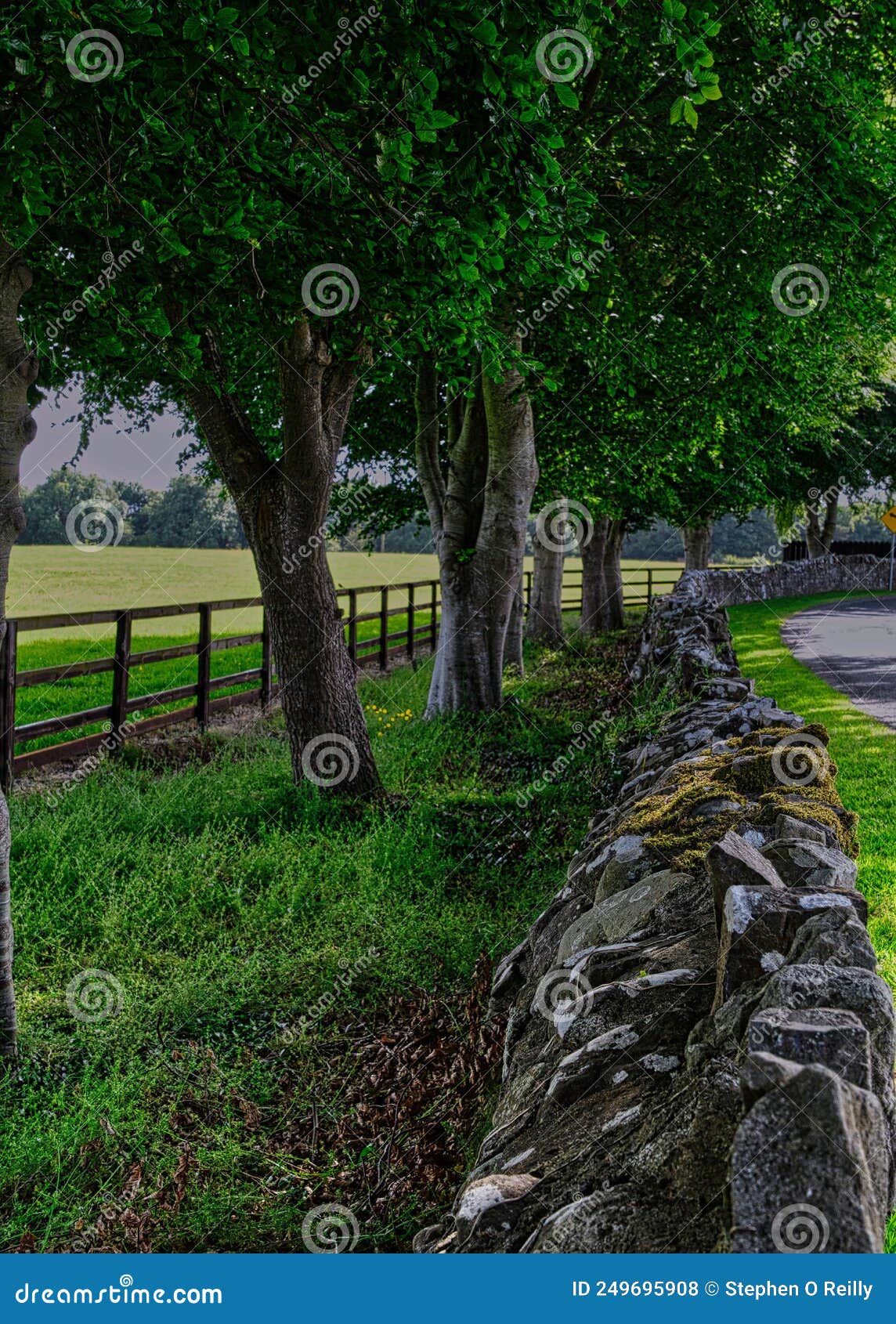 Wall and Row of Trees with a Medow in the Backround Stock Photo - Image ...