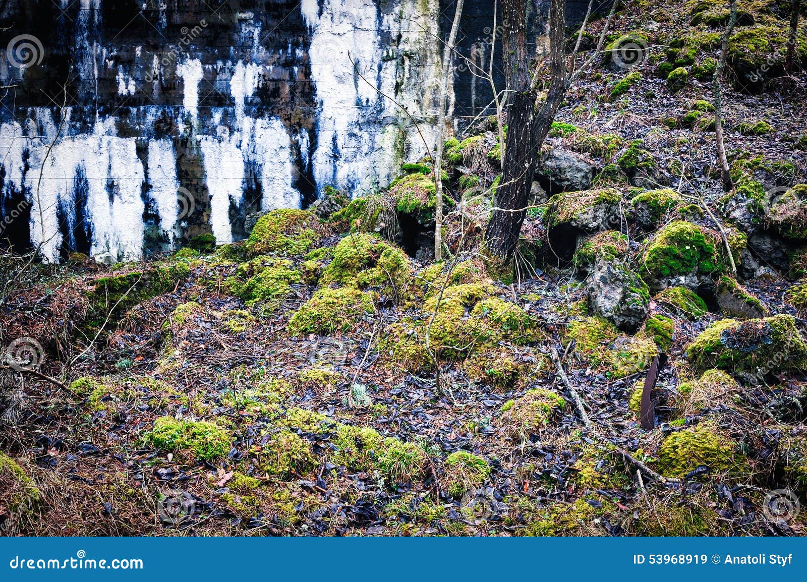 Wall Ruins and Moss on Stones Stock Image - Image of medieval, antique ...