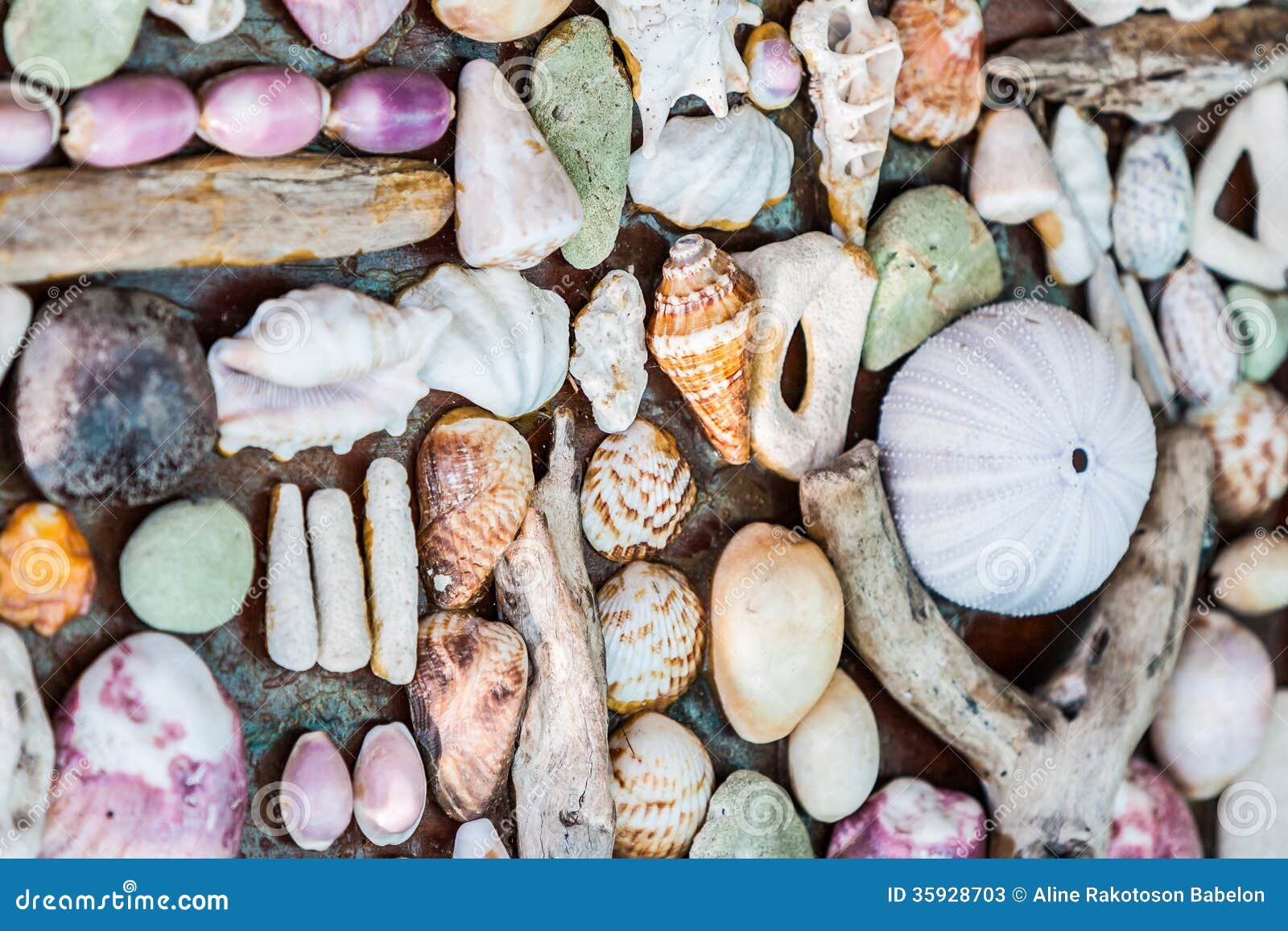 Wall of seashell stock image. Image of beautiful, decorate - 35928703