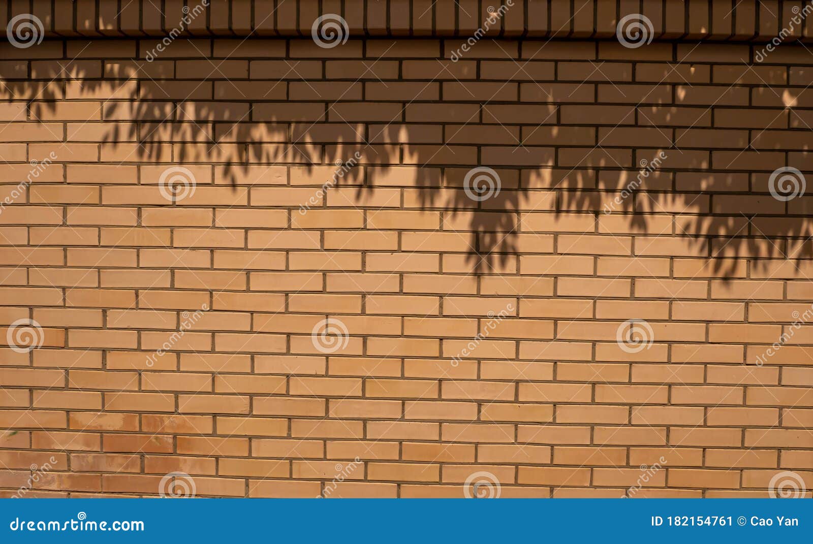 Wall with Shadow for Background or Texture. Tree Shadow on Red Brick ...