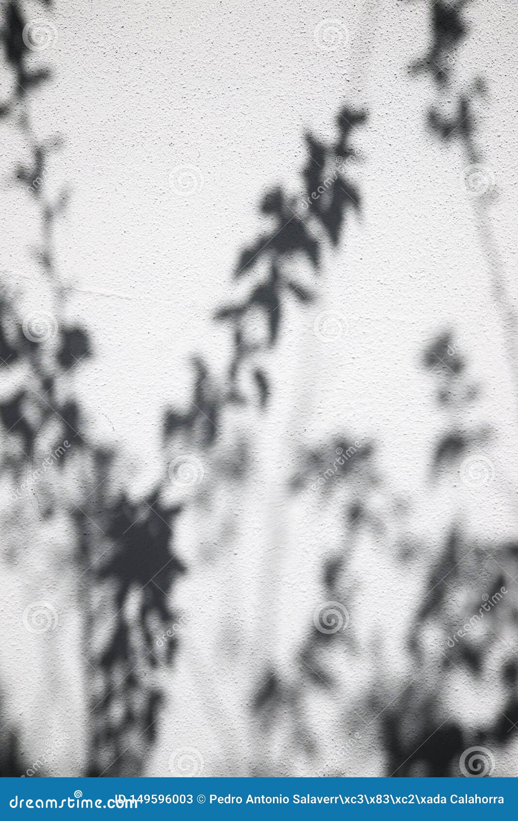 Wall with shadows stock image. Image of outside, abstract - 149596003