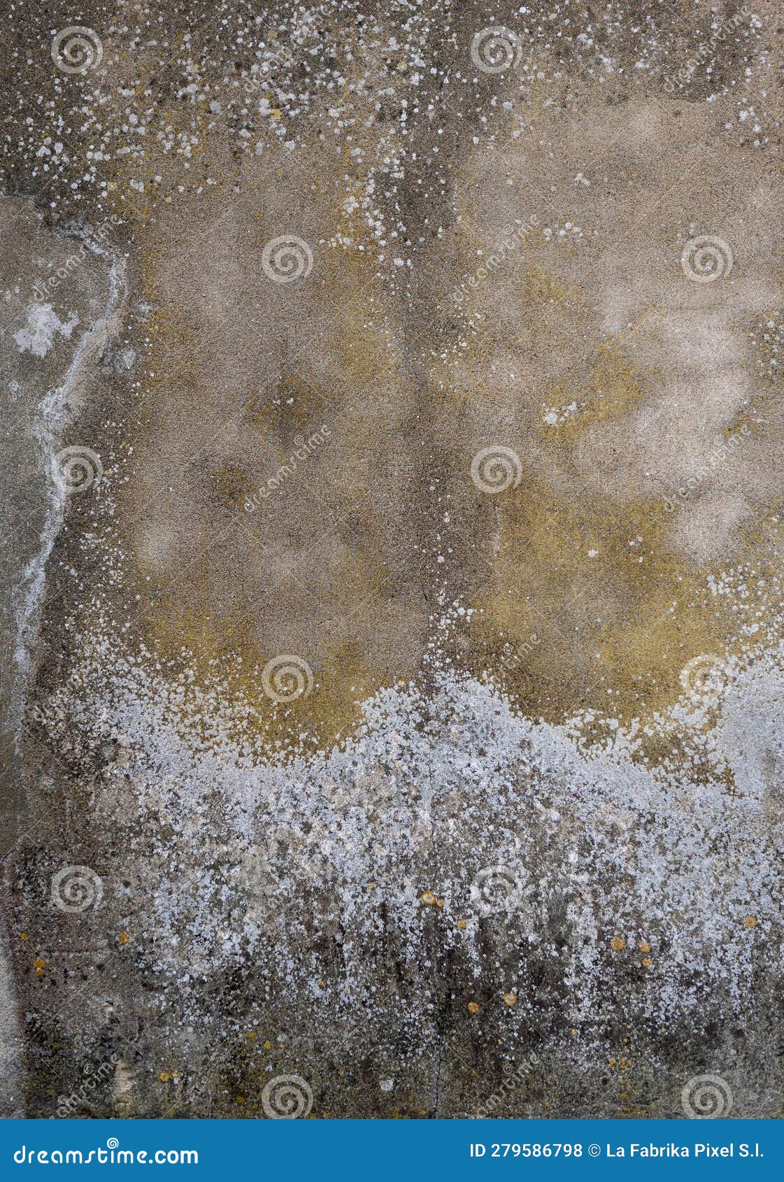 Water damage stock photo. Image of signs, moldy, grunge - 279586798