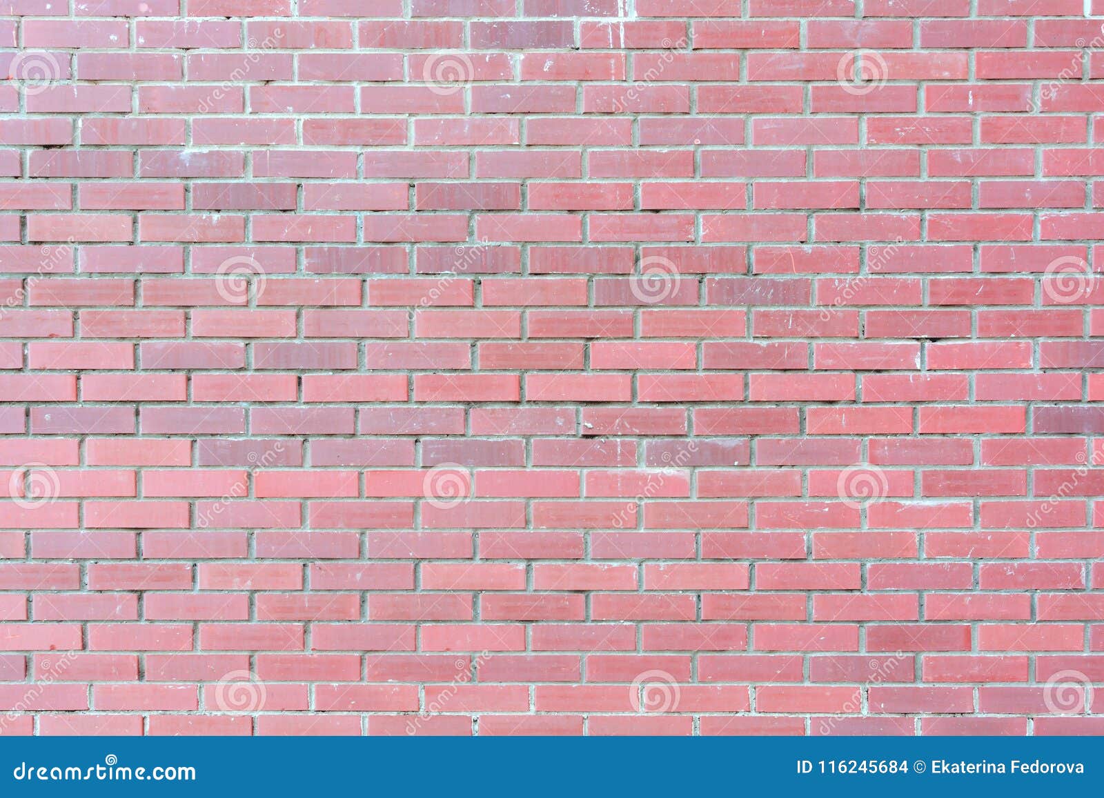 A Wall of Small Red Bricks. the Texture of the Brickwork. Blank ...