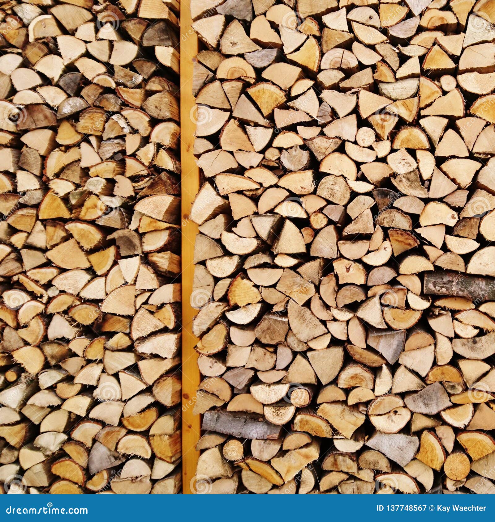 Wood store stock image. Image of organised, compact - 137748567