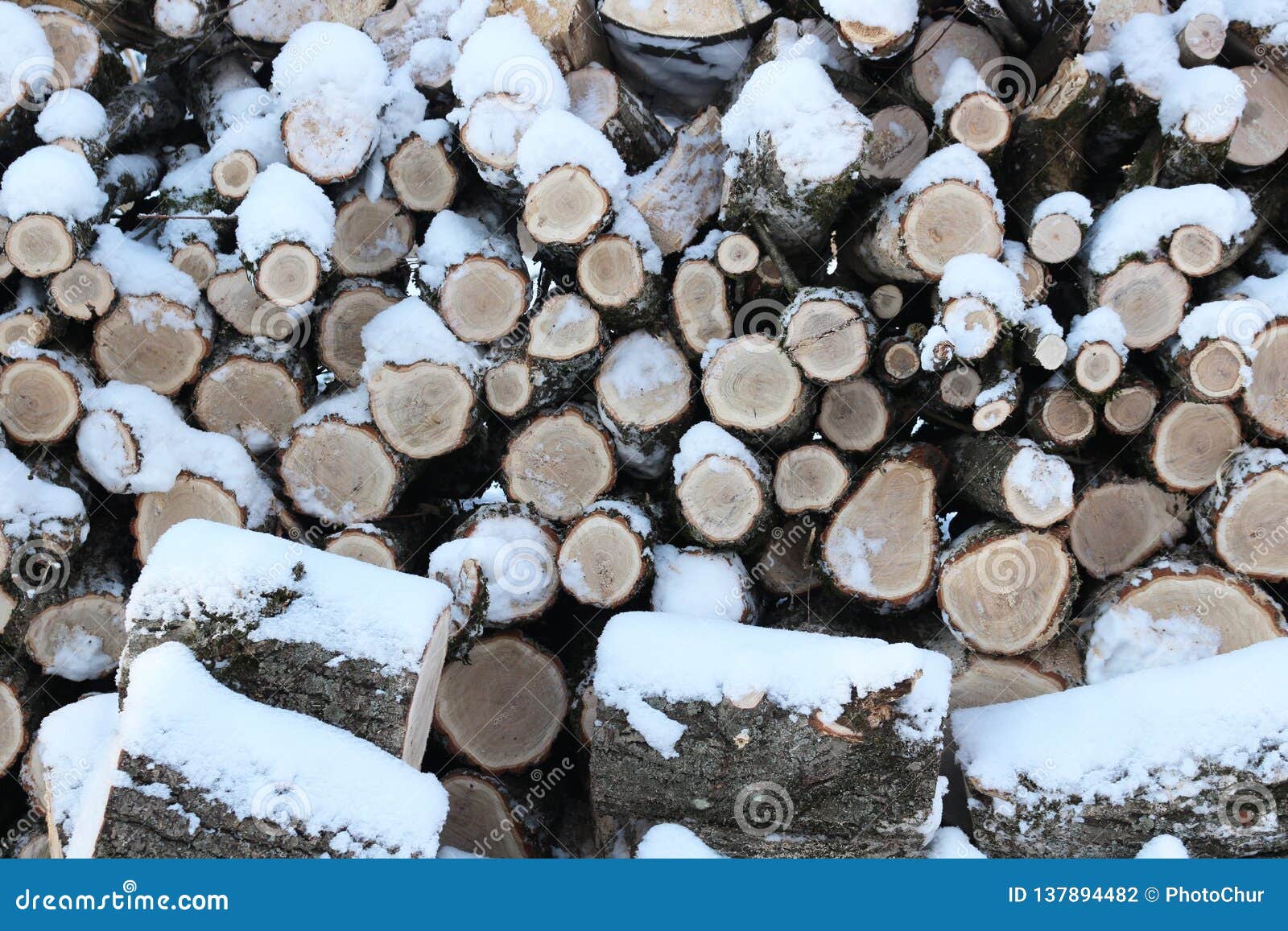 Wall of Stacked Logs and Branches Stock Photo - Image of bark ...