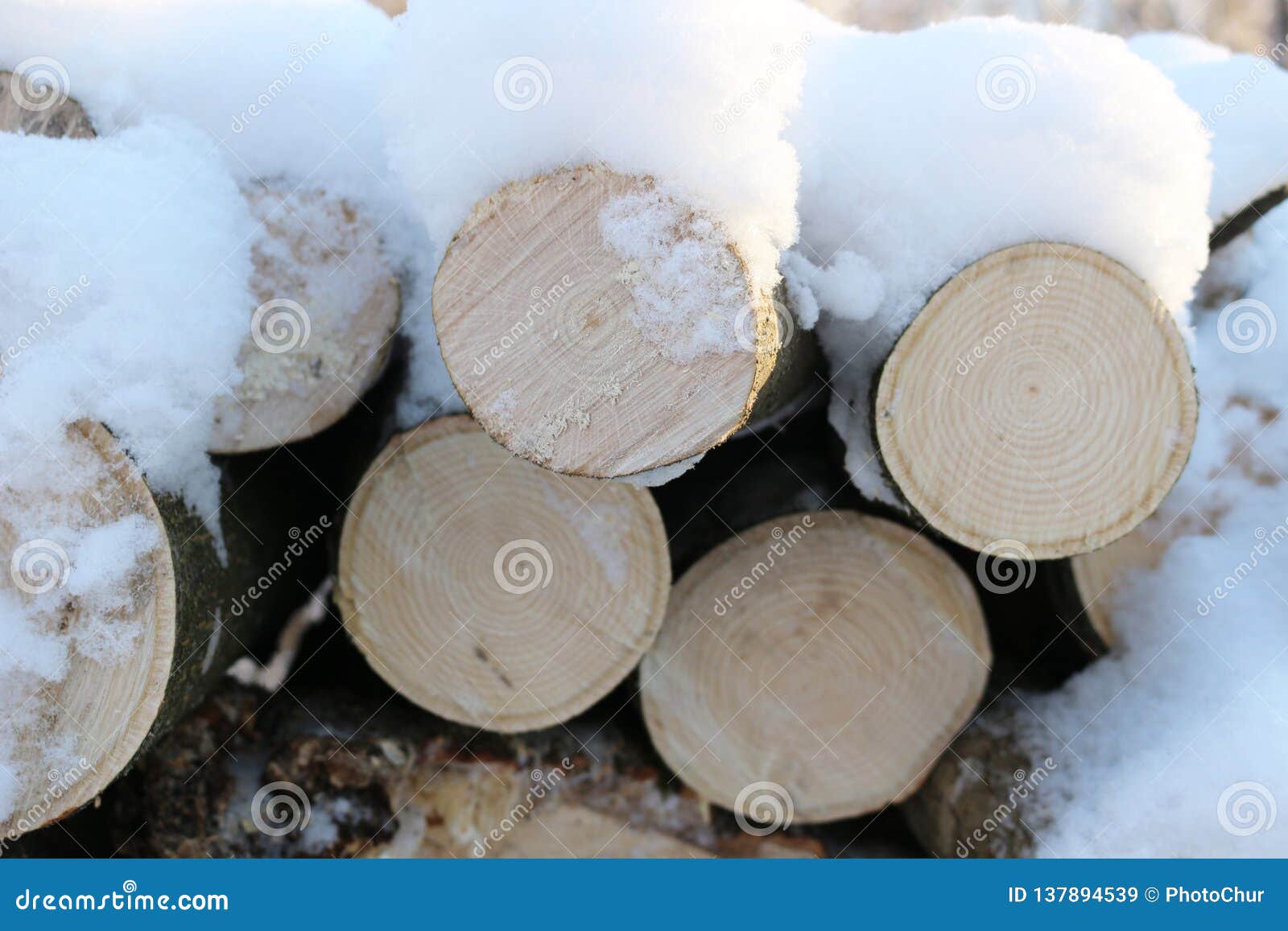 Wall of Stacked Logs and Branches Stock Image - Image of silviculture ...