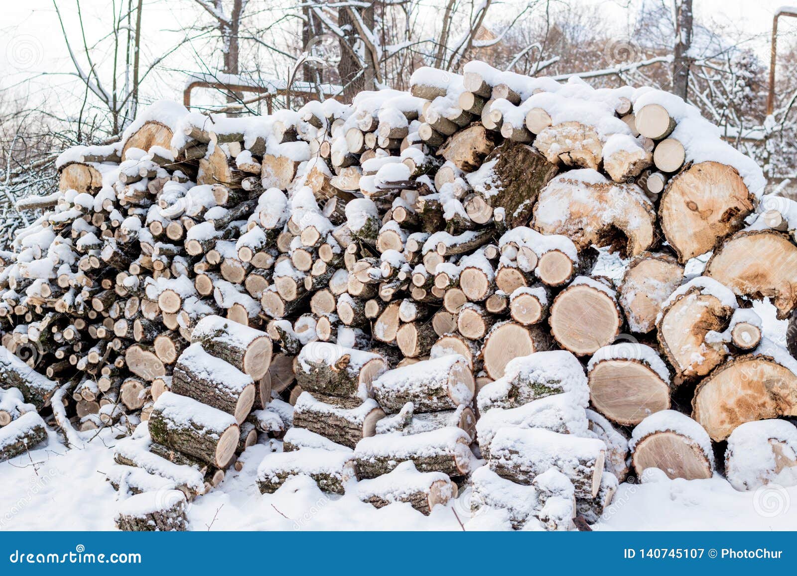 Wall of Stacked Logs and Branches Stock Image - Image of silviculture ...