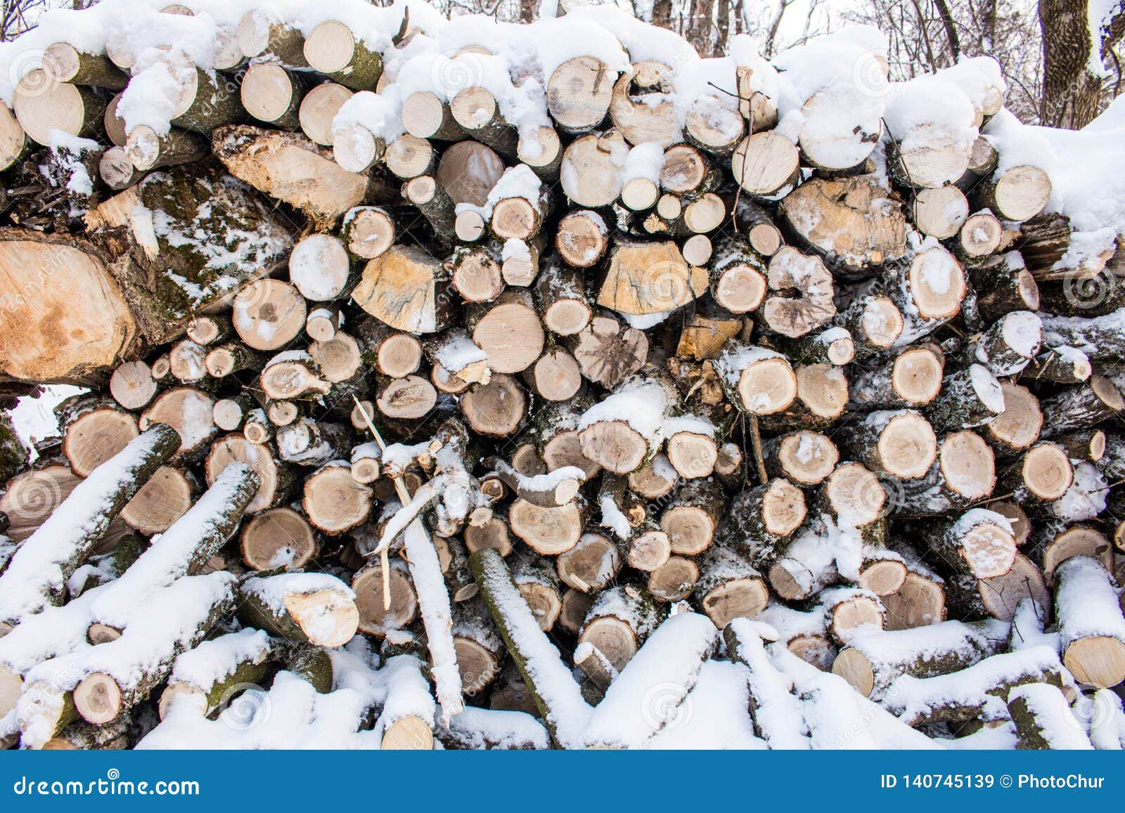 Wall of Stacked Logs and Branches Stock Image - Image of arboriculture ...