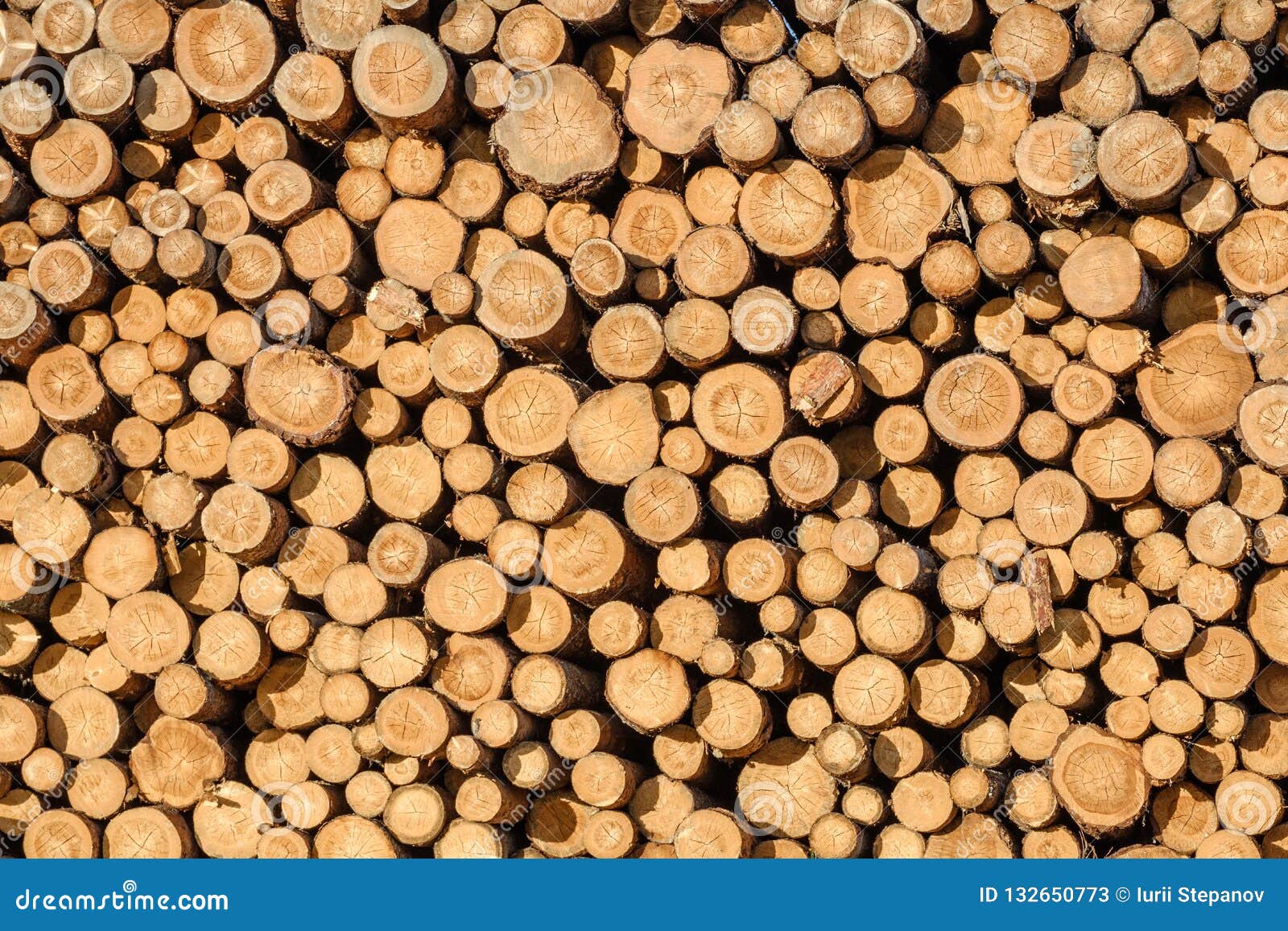 Wall of stacked wood logs stock image. Image of group - 132650773