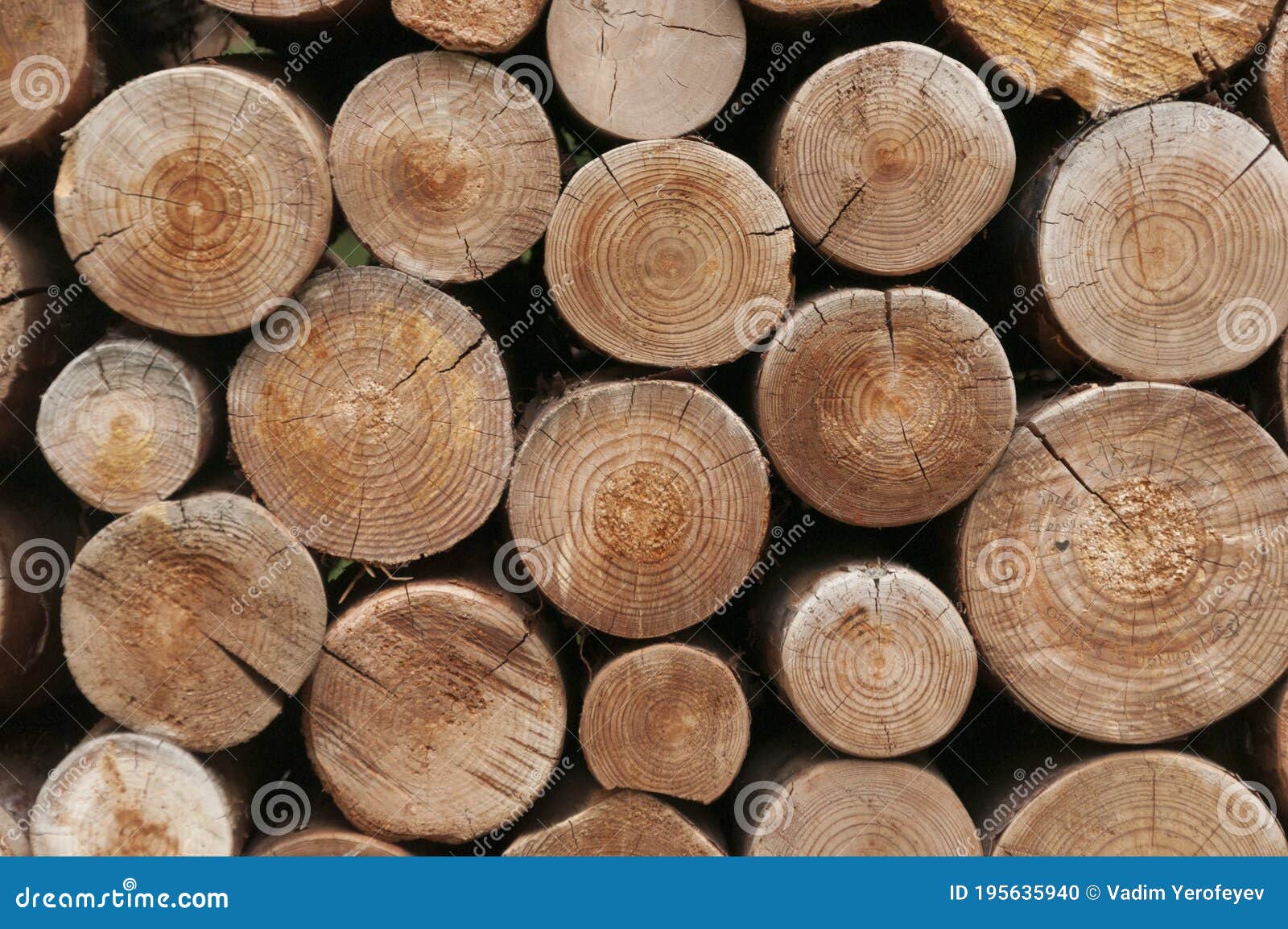Wall of Stacked Wood Logs As Background Stock Photo - Image of industry ...