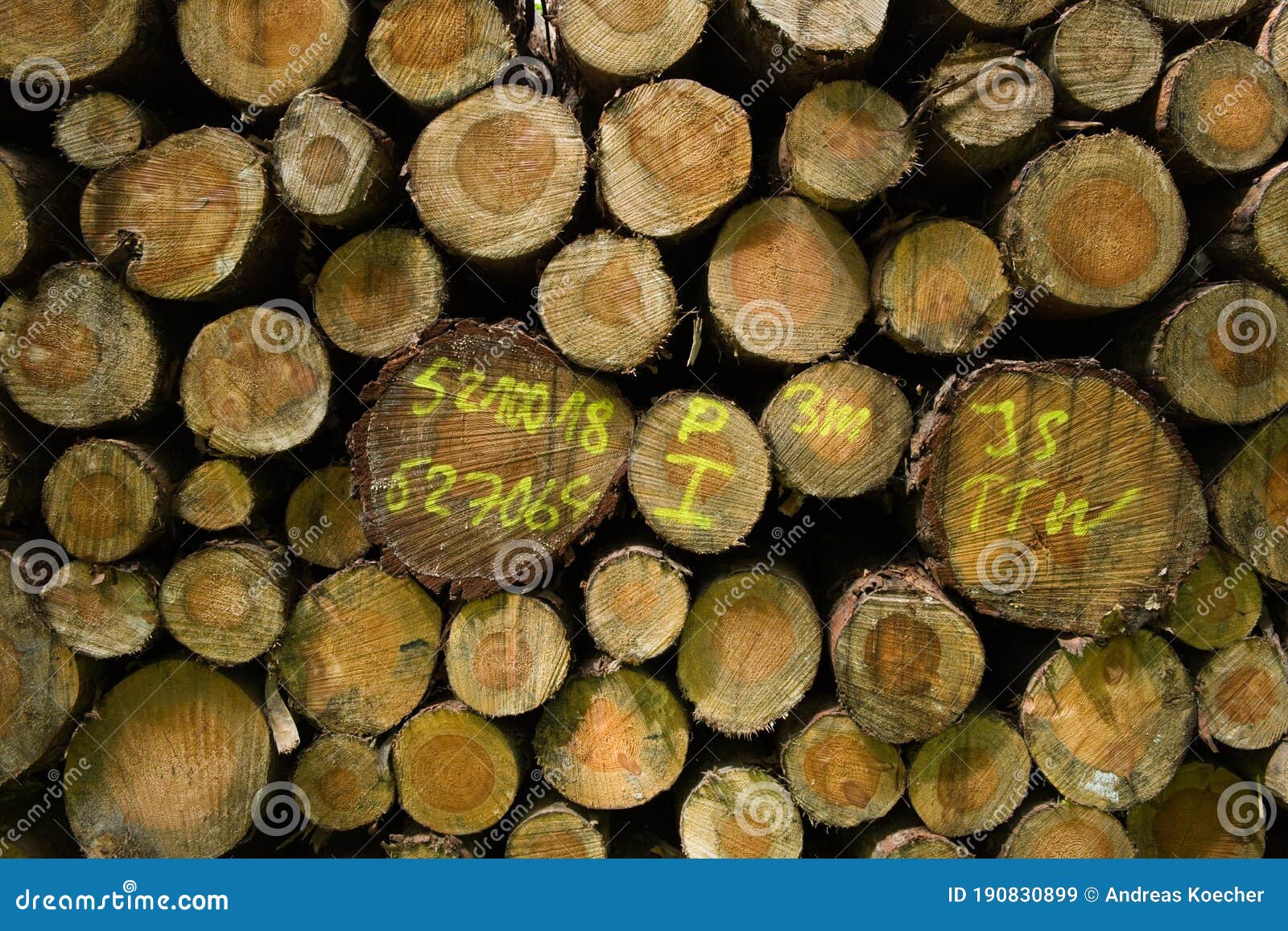 Wall of Stacked Wood Logs with Yellow Markings Stock Image - Image of ...
