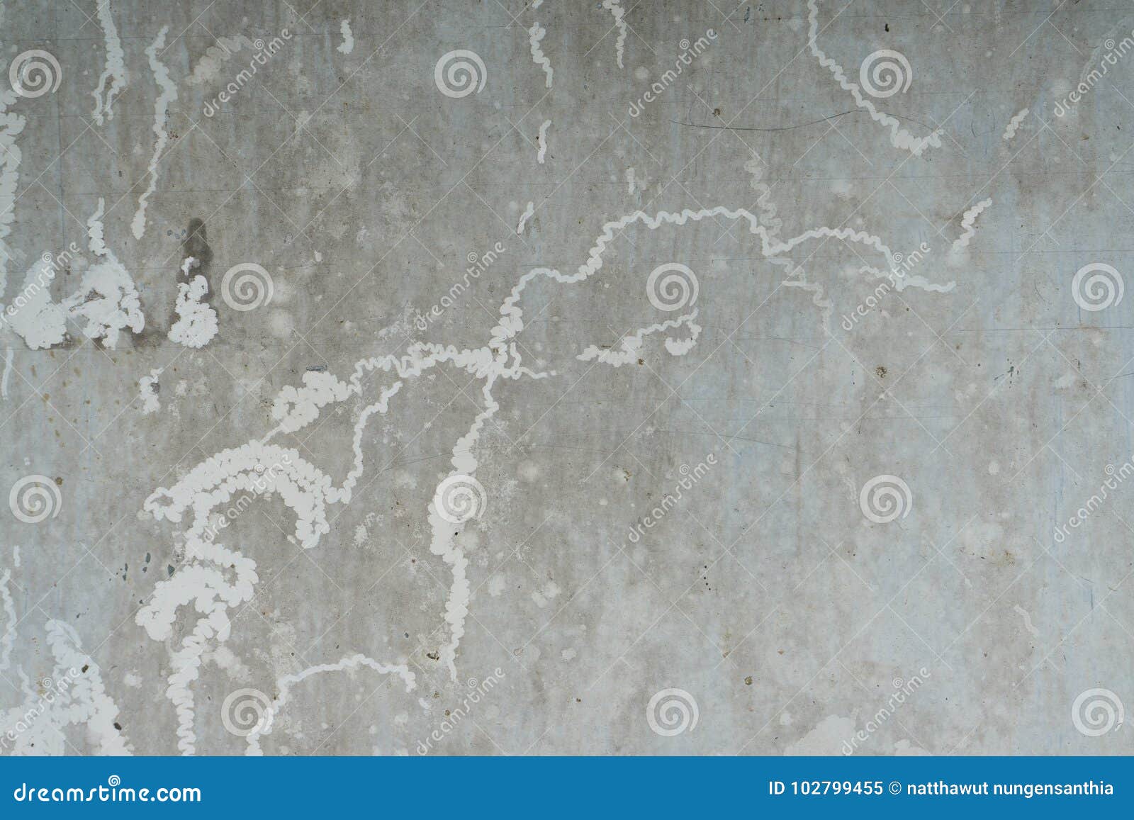 Wall Stains Create by Snail Footprint Stock Image - Image of life ...