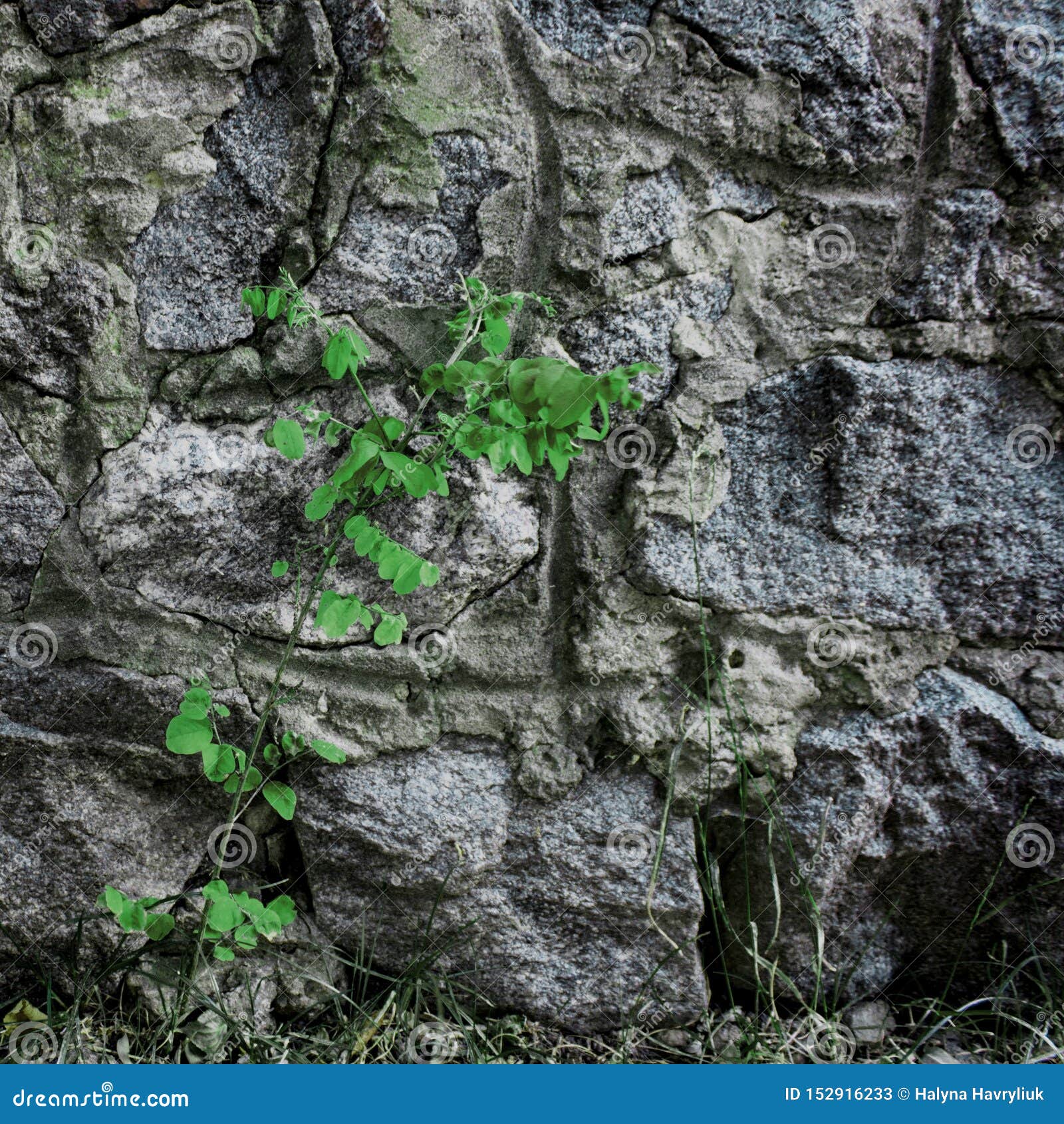 Wall, Stone, Background, Texture, Natural, Rock, Abstract, Pattern ...