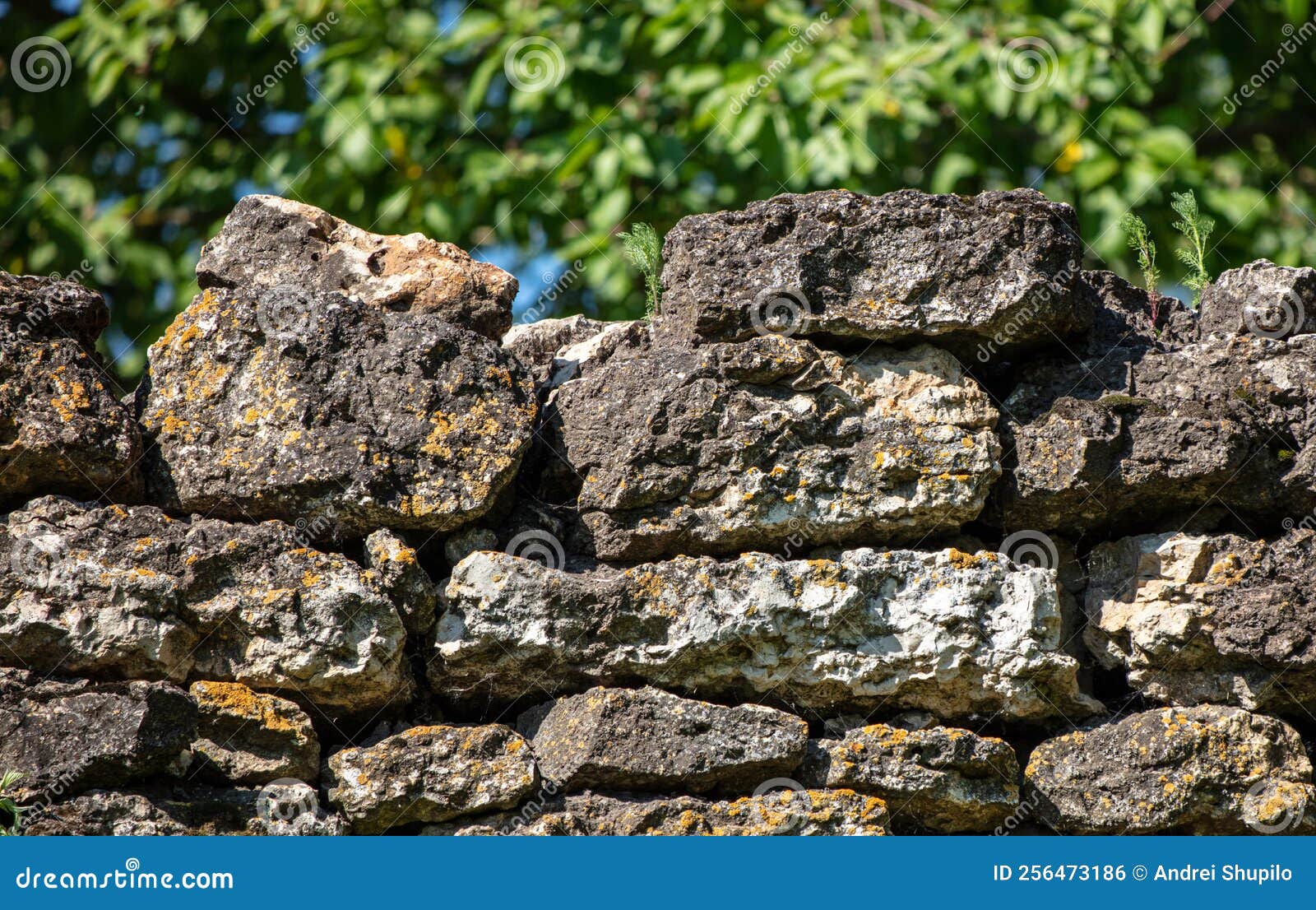 Wall of Stone Bricks on the Fence. Stock Photo - Image of rock ...