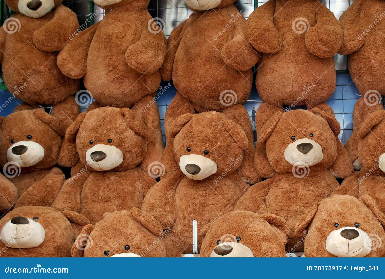Wall of Teddy Bears stock image. Image of stuff, furry - 78173917