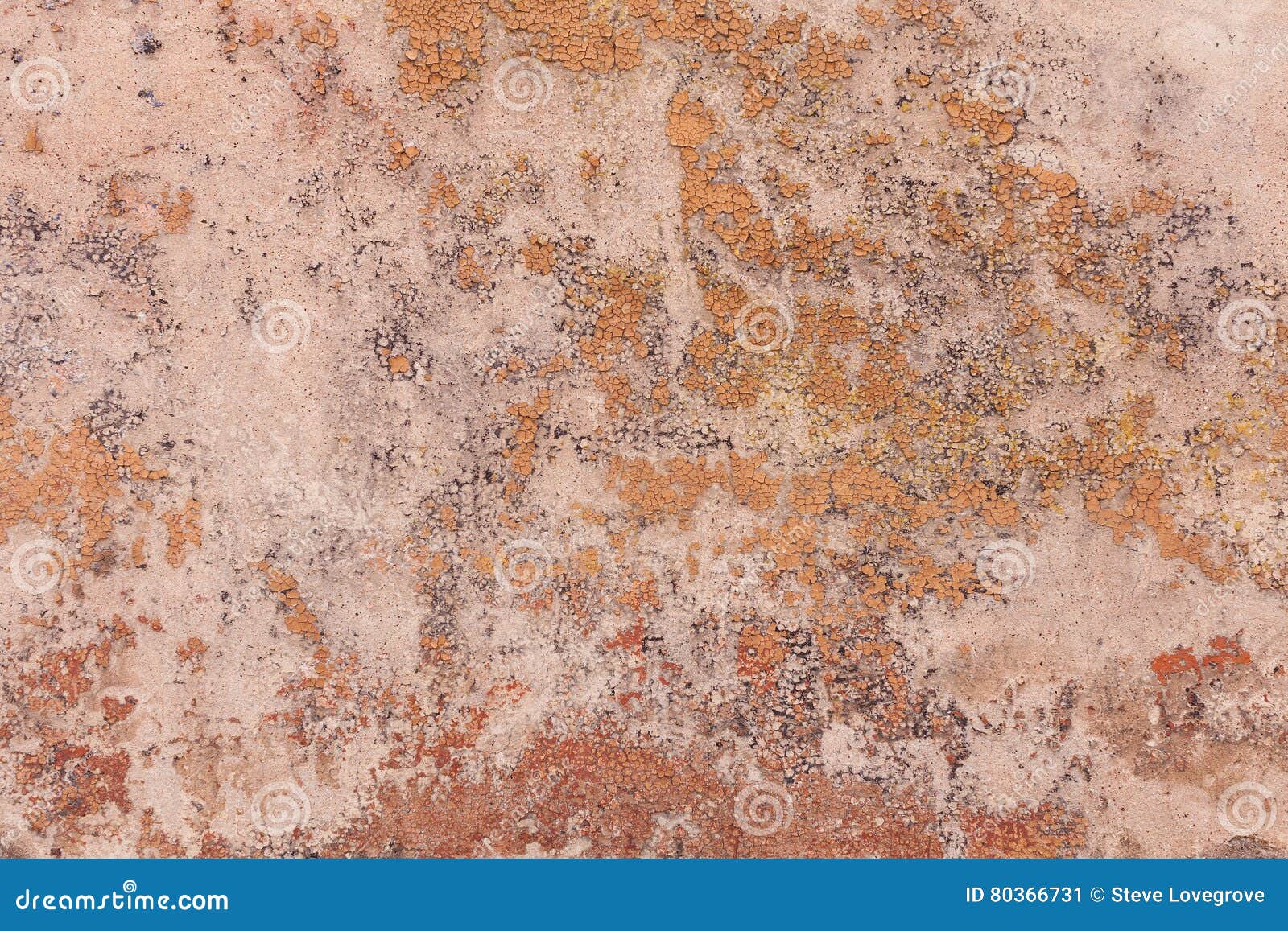 Wall Texture Background stock image. Image of decay, paint - 80366731