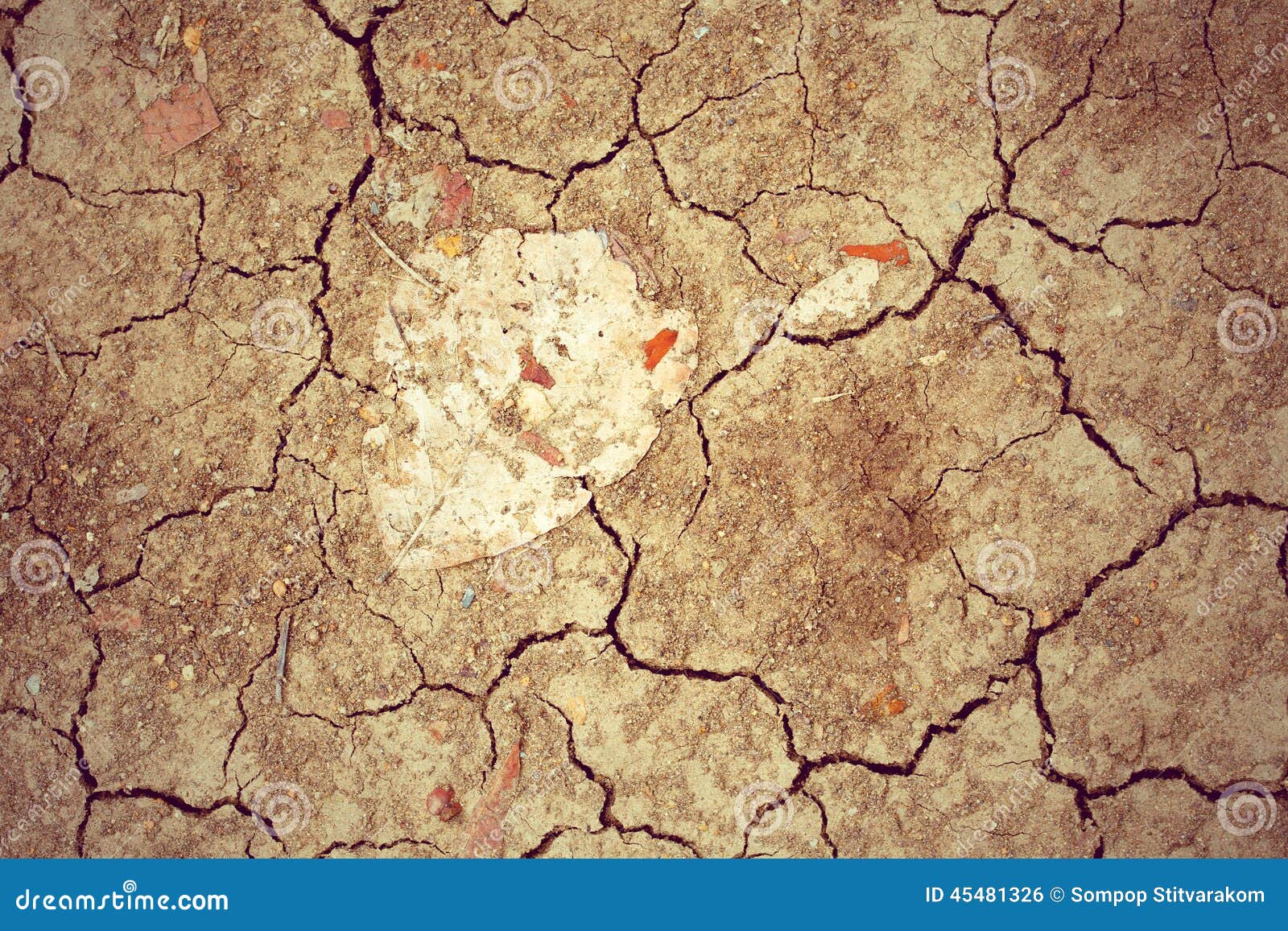 Wall Textures stock photo. Image of texture, mark, trait - 45481326