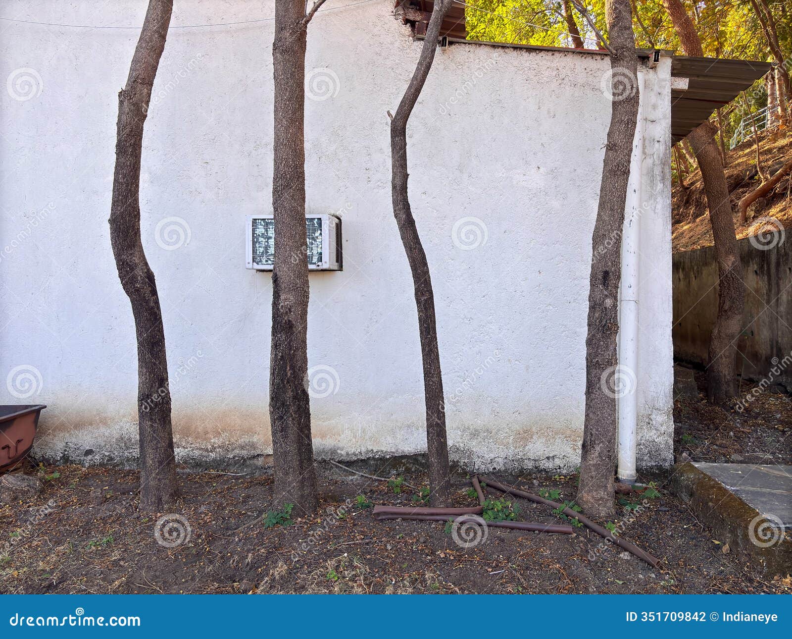 A Wall with Three Trees Leaning Against it Stock Photo - Image of ...