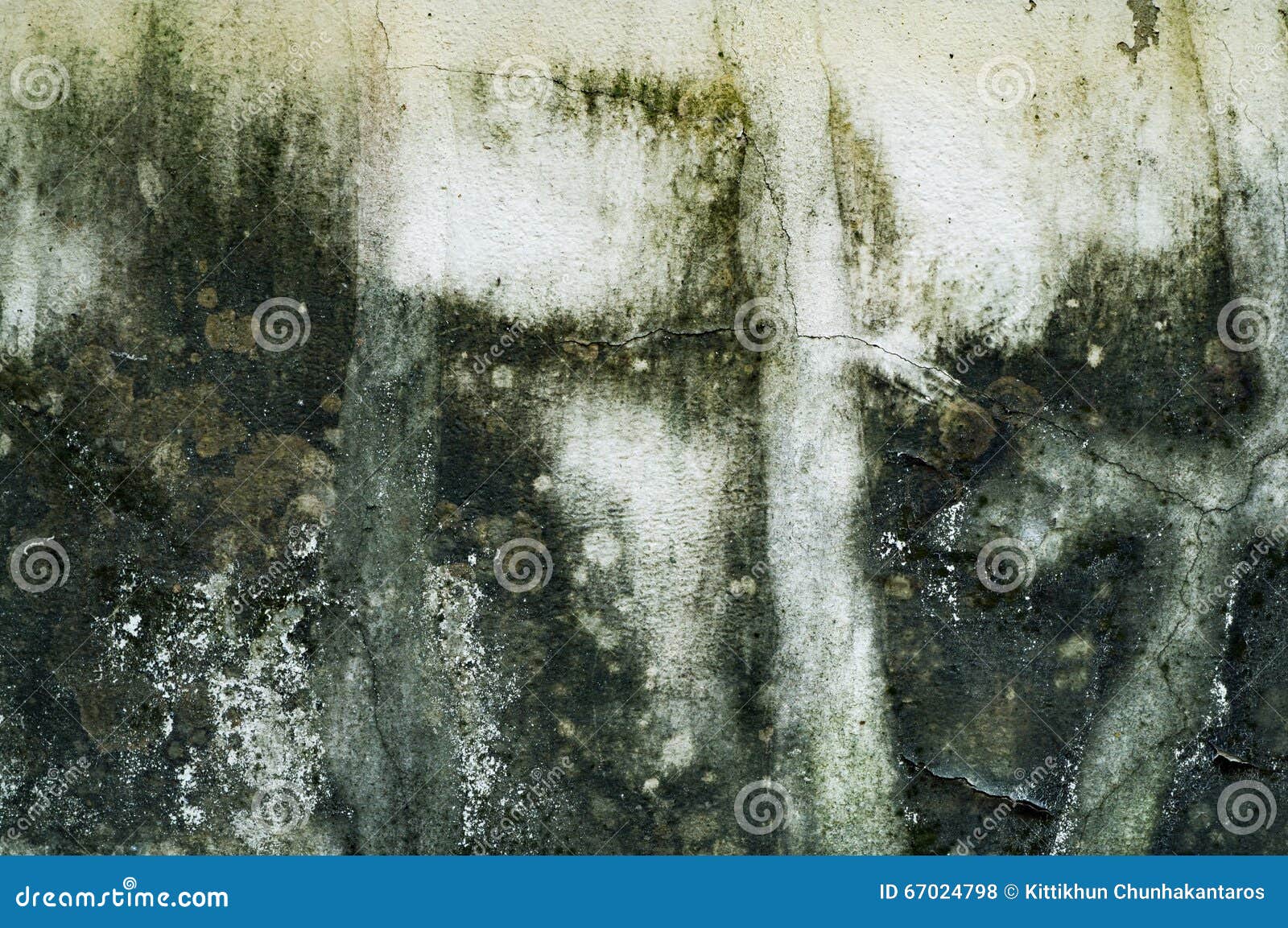Wall Unclean Have Algae Texture Background Stock Photo - Image of ...