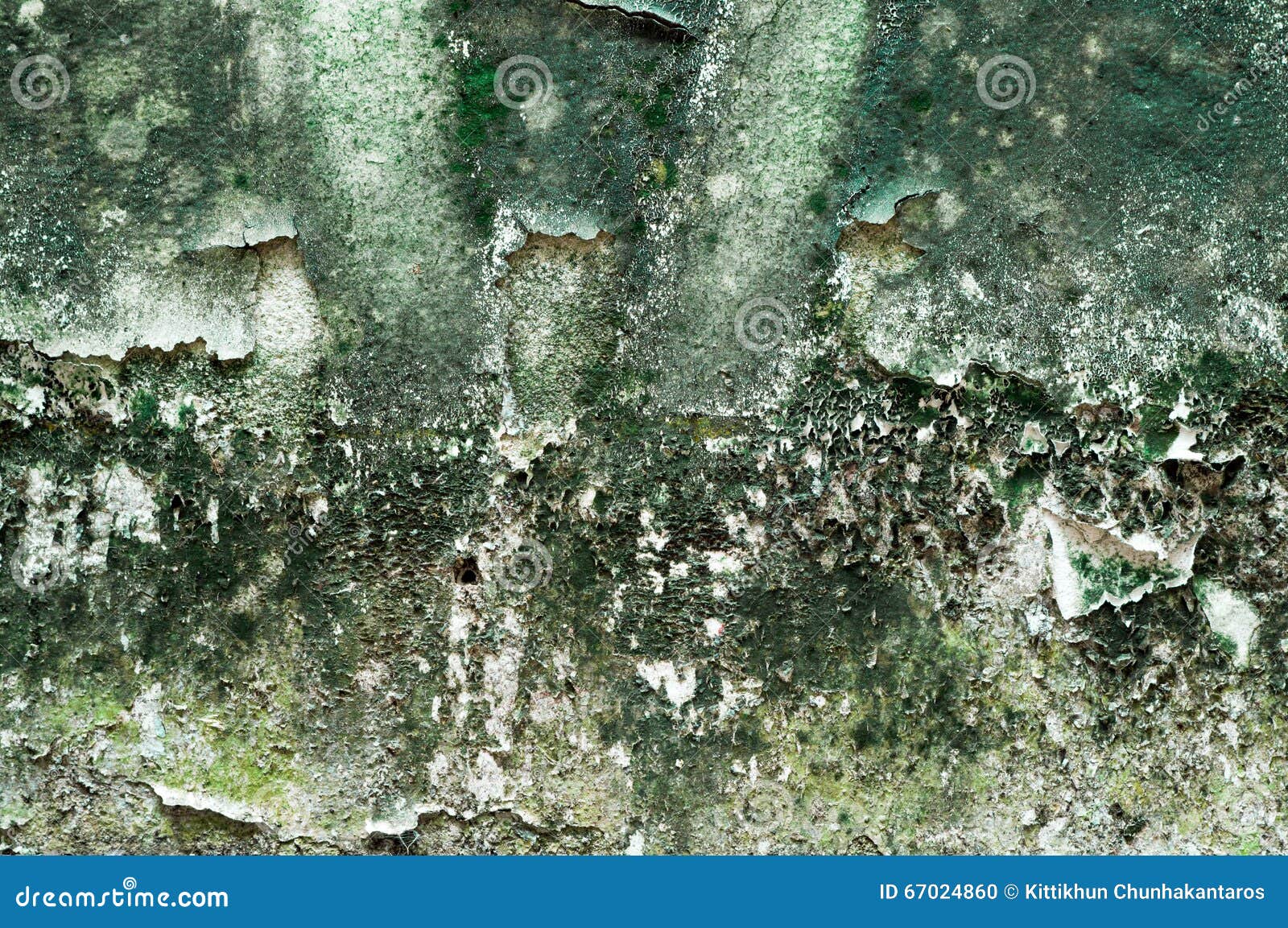 Wall Unclean Have Algae Texture Background Stock Photo - Image of ...