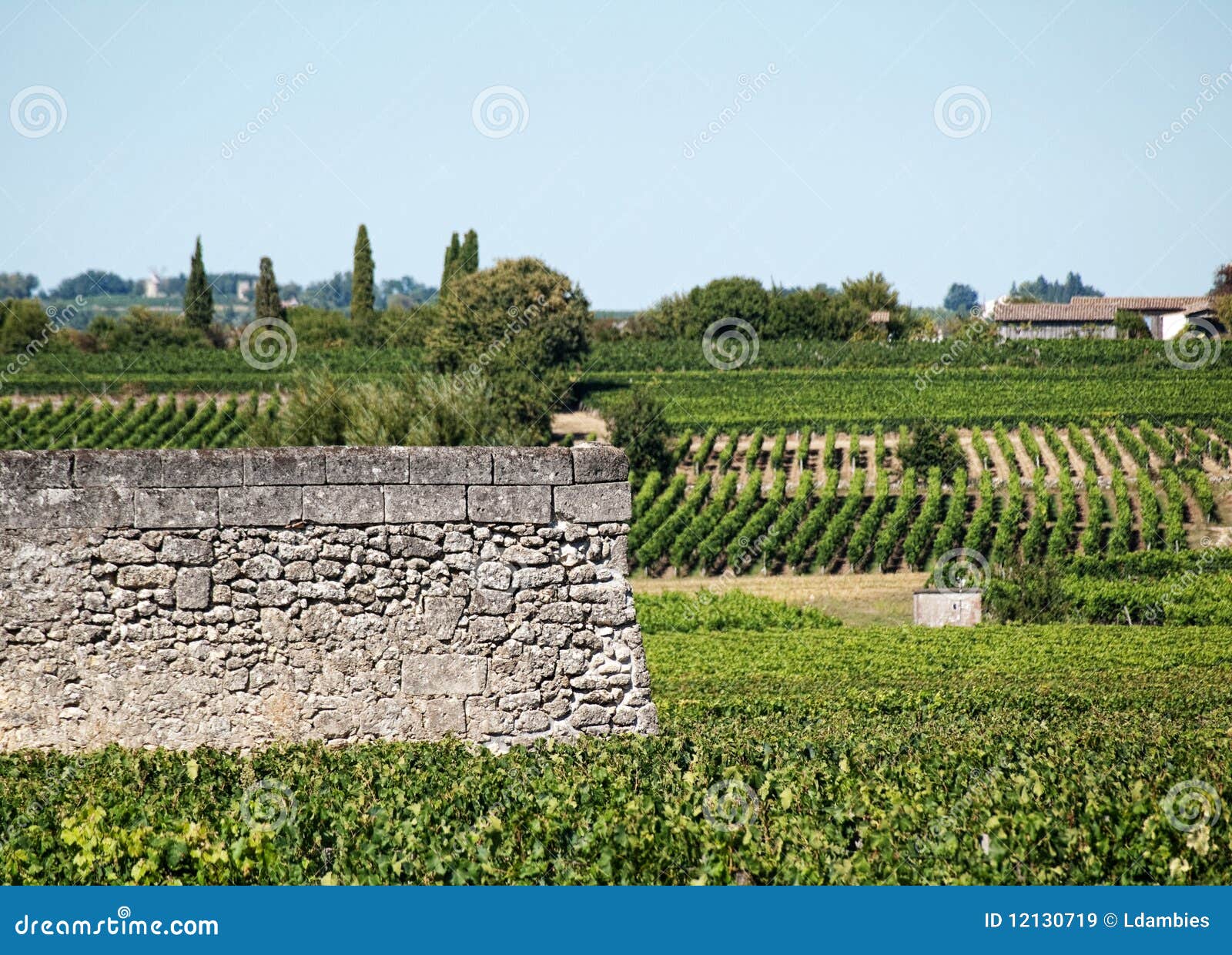 Wall in vineyard stock image. Image of masonry, order - 12130719