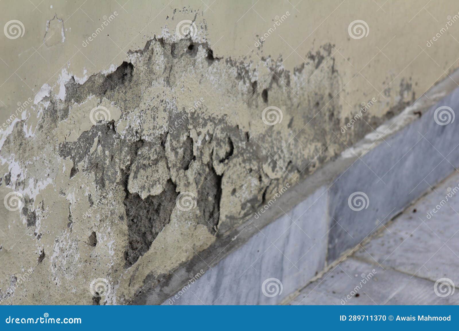 Wall water damage stock photo. Image of tree, geology - 289711370