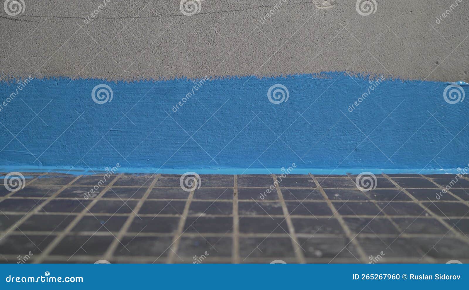 Wall Waterproofing. Bathroom Renovation. Blue Waterproofing in the ...