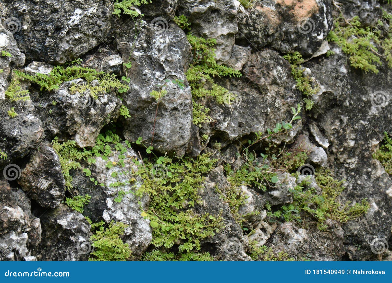 Wall of Weathered Grey Rocks and Moss Stock Image - Image of material ...
