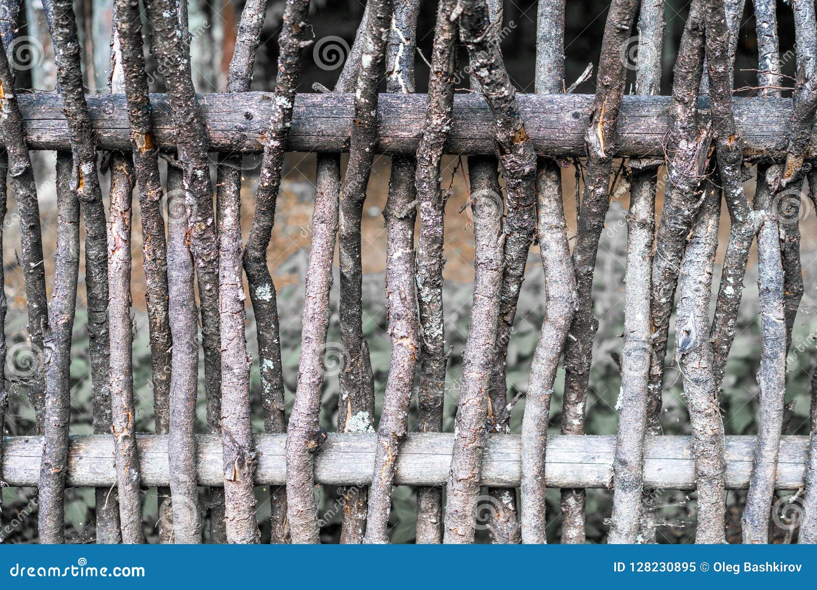 Wall of Willow Twigs As Background. Rural Old Fence, Made from Willow ...