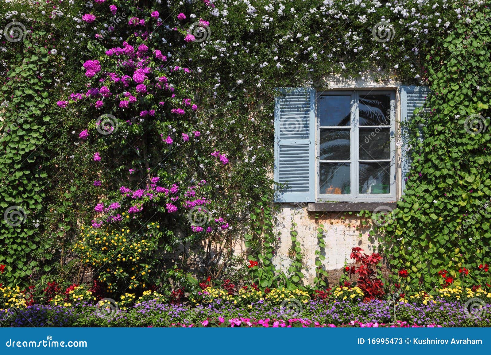 Wall and Window, Overgrown with Flowers Stock Image - Image of life ...