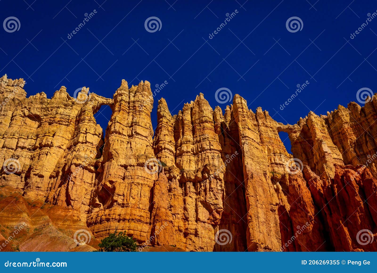 Wall of Windows in Bryce Amphitheater Stock Image - Image of ...