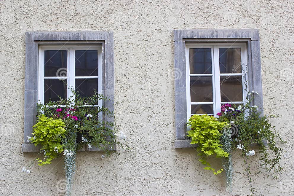 Wall with Windows and Flower Boxes with Flowering Plants Stock Photo ...