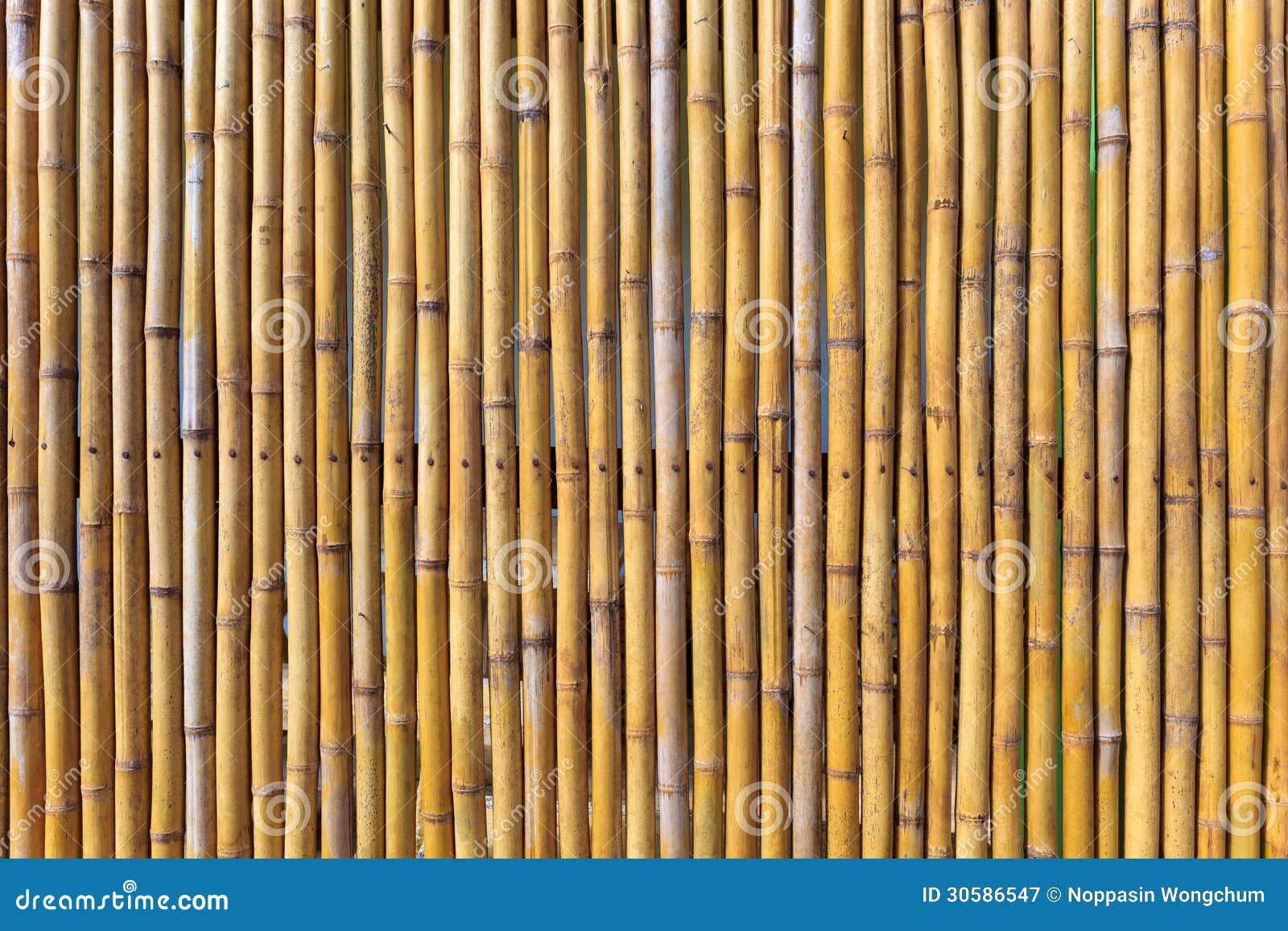 Bamboo wall stock image. Image of organic, bundle, design - 30586547