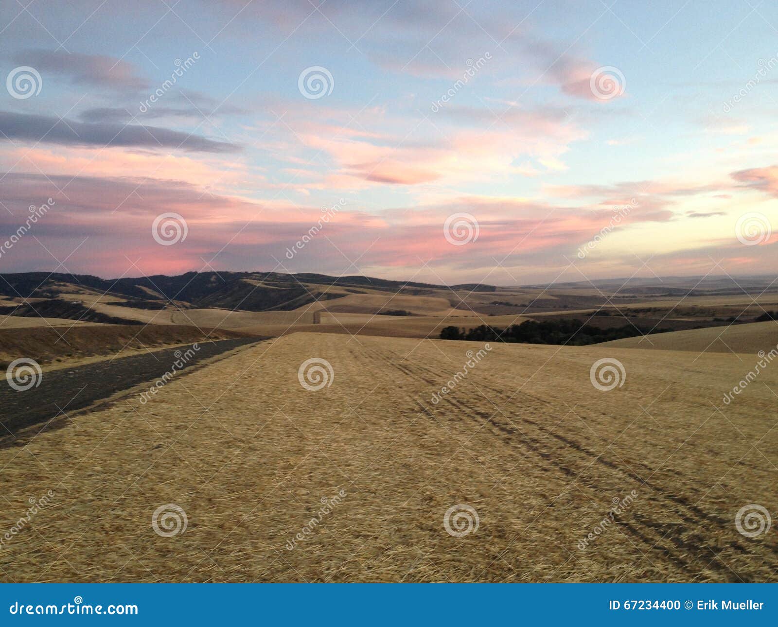 Walla Walla Wheat Fields stock photo. Image of fields - 67234400