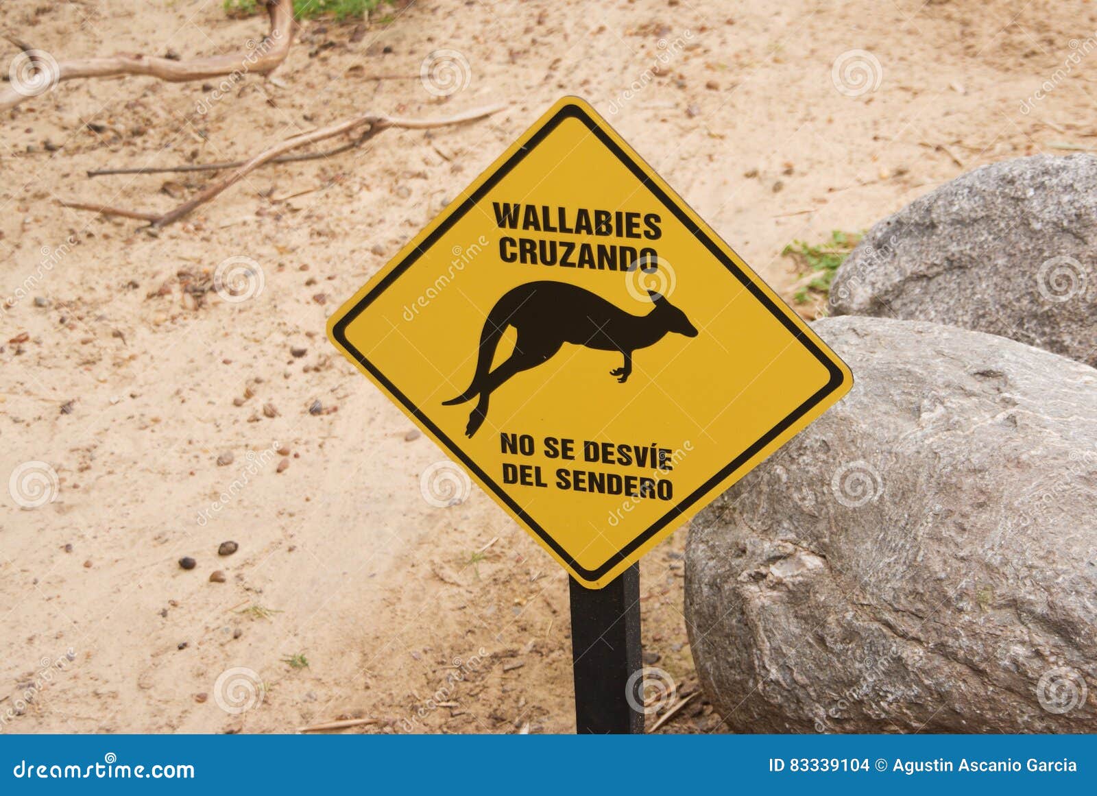 Wallabies Crossing Sign stock photo. Image of dirt, letters - 83339104