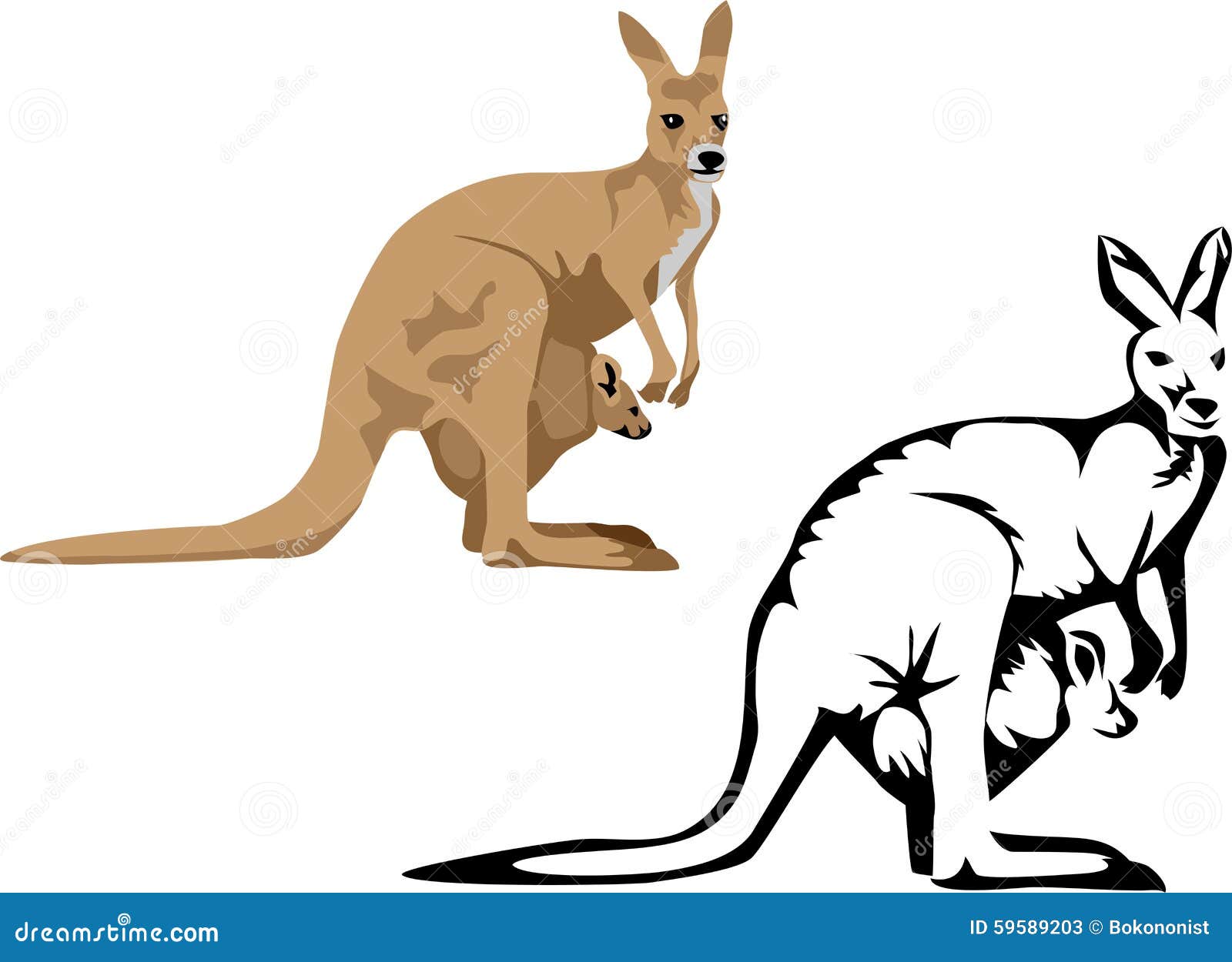 Wallaby stock vector. Illustration of marsupial, pouch - 59589203